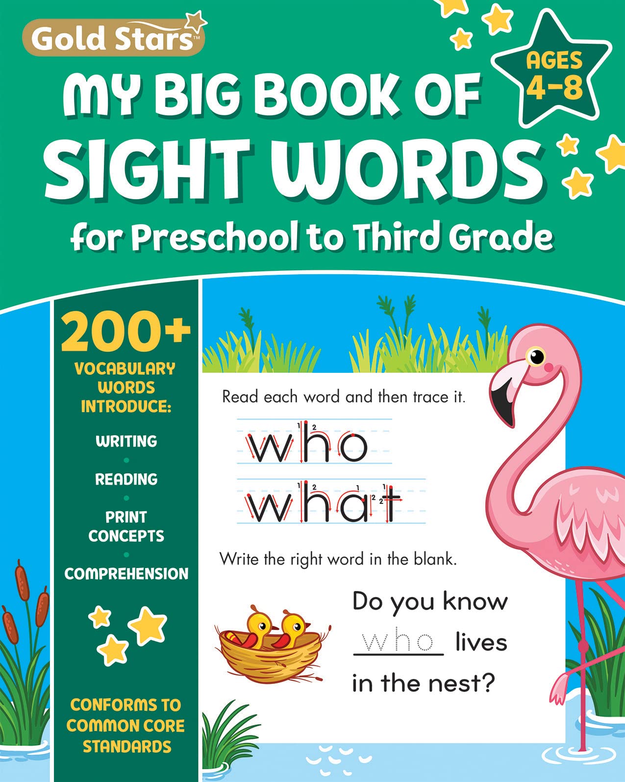 Gold Stars My BIG Book of Sight Words Activity Workbook - 229 High ...