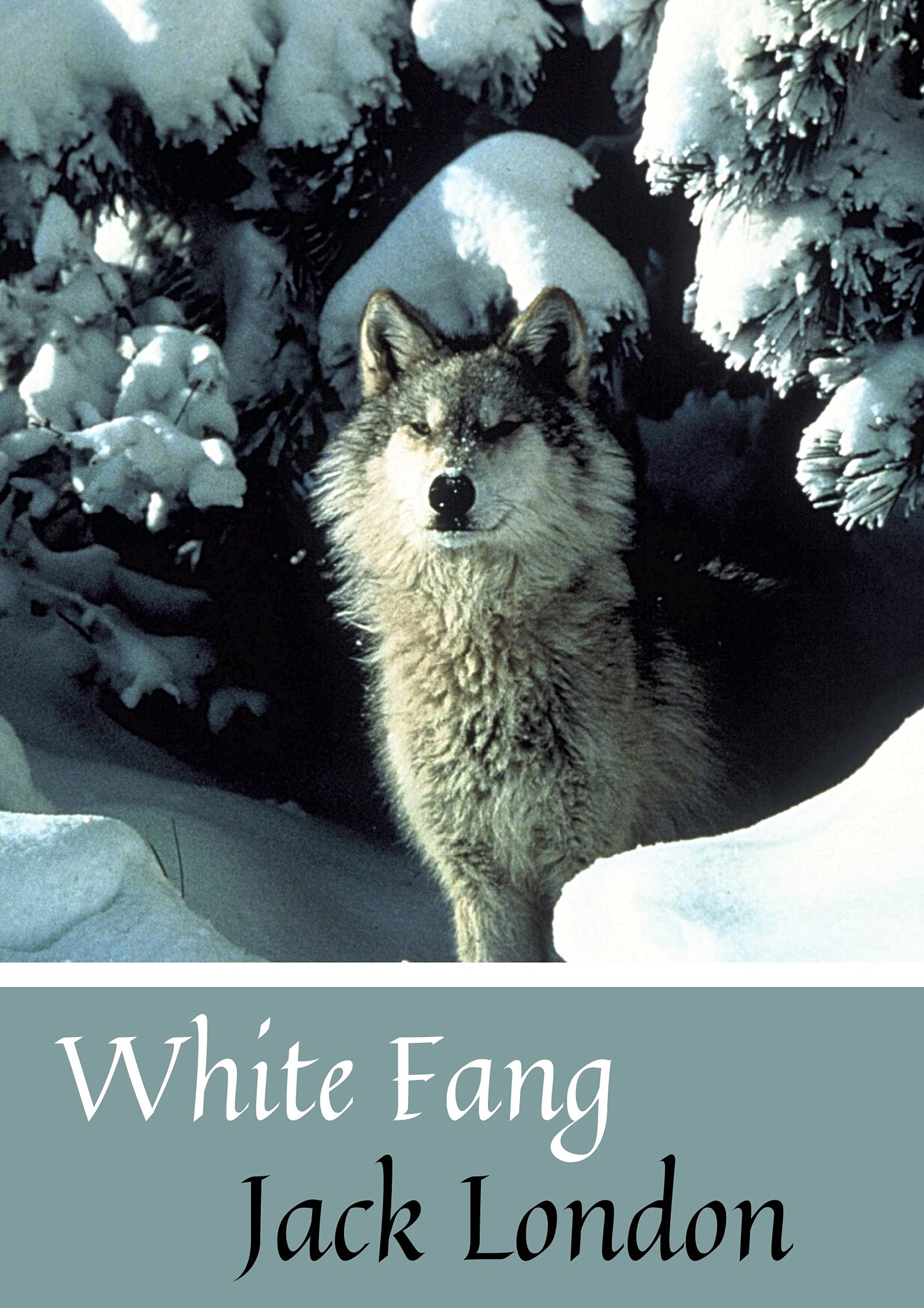 White Fang: Jack London (Jack London Action Adventure Classics ...