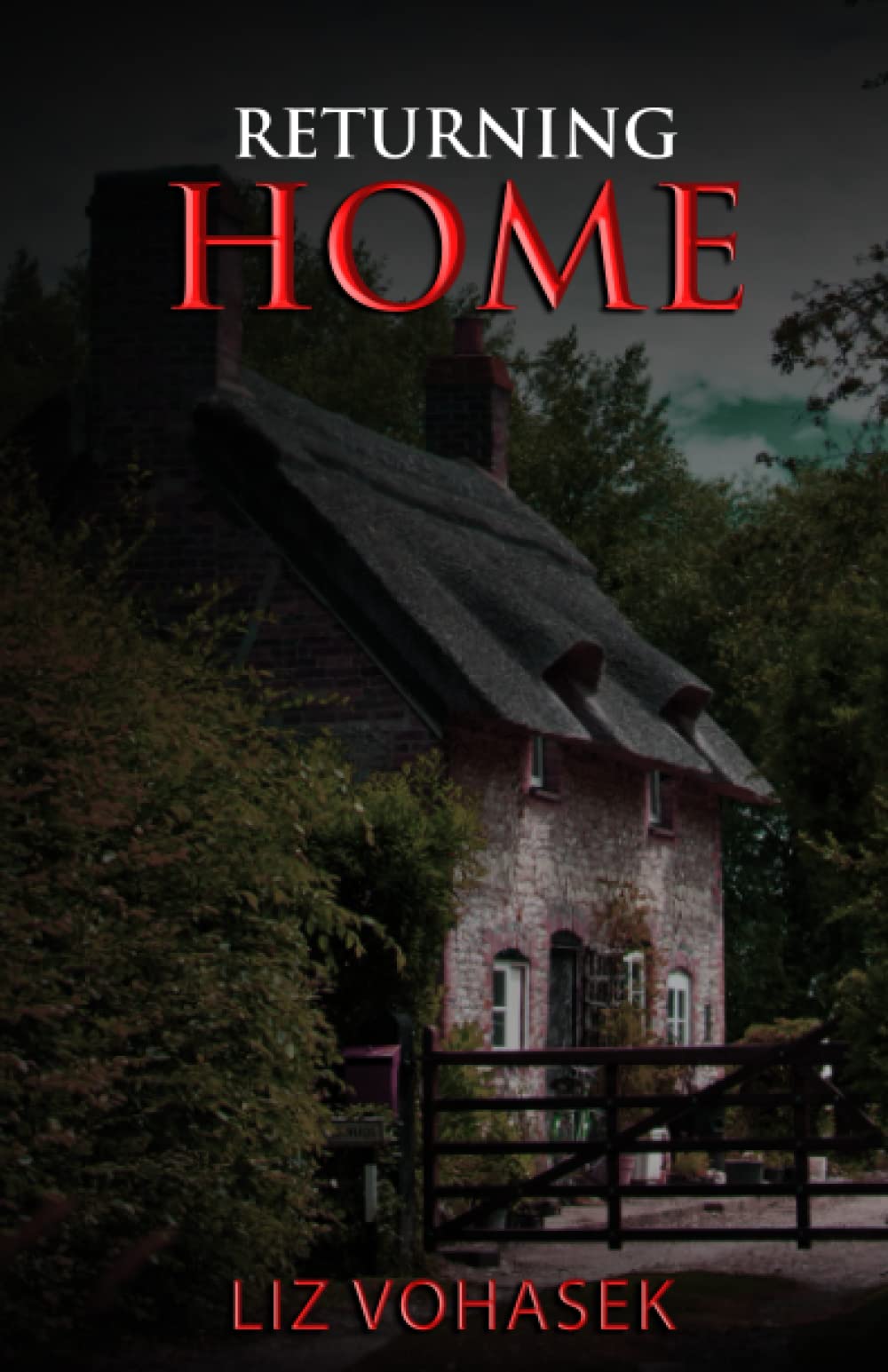Returning Home by Liz Vohasek | Goodreads