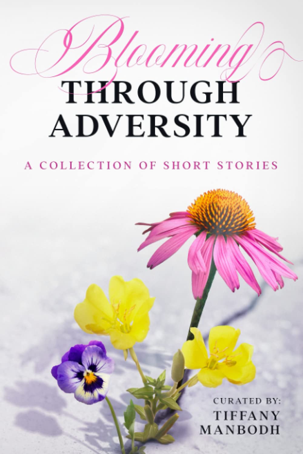 Blooming Through Adversity: A Collection of Short Stories by Tiffany ...