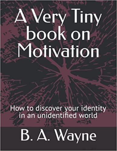 A Very Tiny Book on Motivation: How to discover your identity in an ...