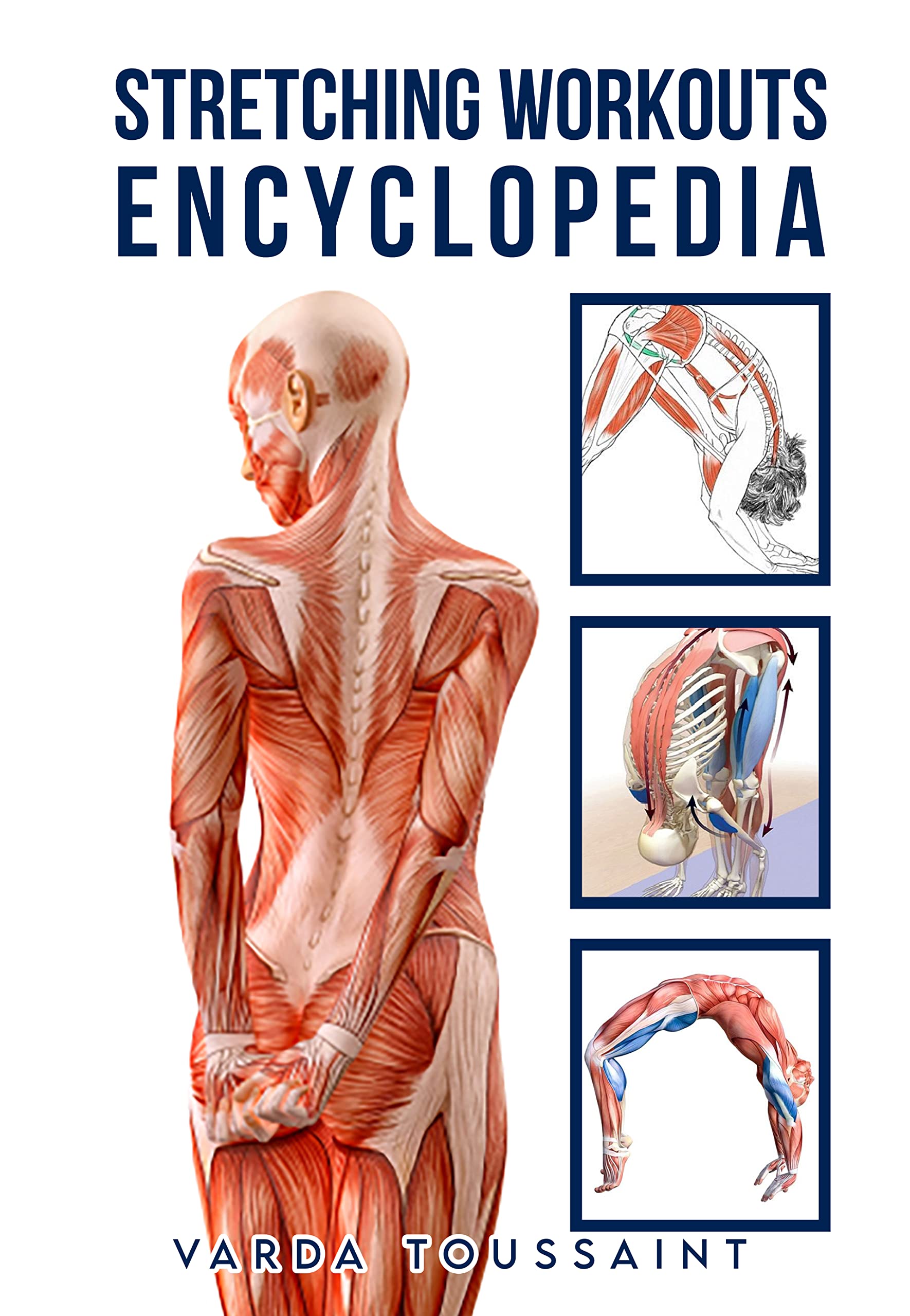 Stretching Workouts Encyclopedia by Varda Toussaint | Goodreads