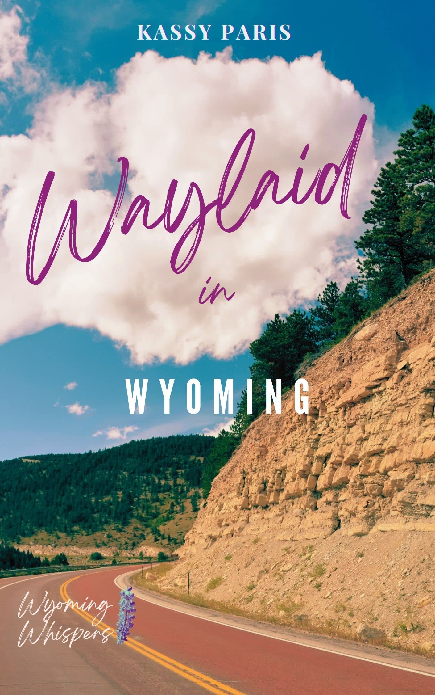 Waylaid in Wyoming: Book 1 of Wyoming Whispers Series by Kassy Paris ...