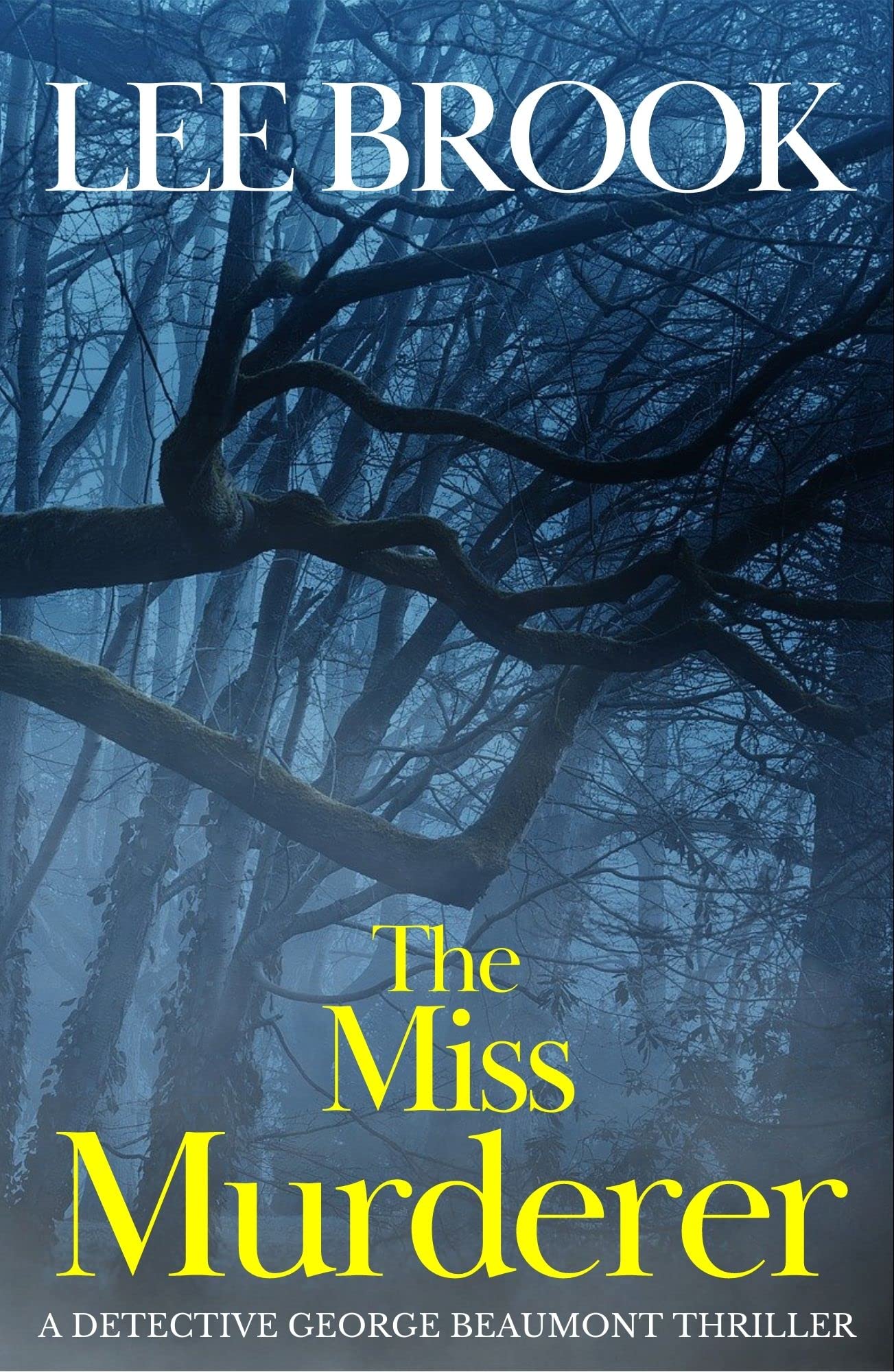 The Miss Murderer by Lee Brook | Goodreads