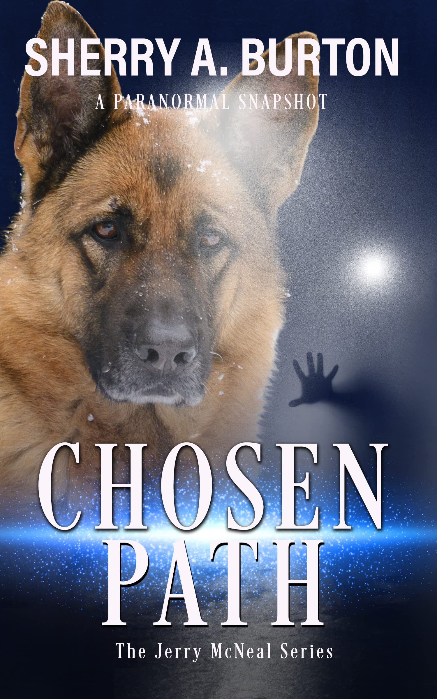Chosen Path (Jerry McNeal, #4) by Sherry A. Burton | Goodreads