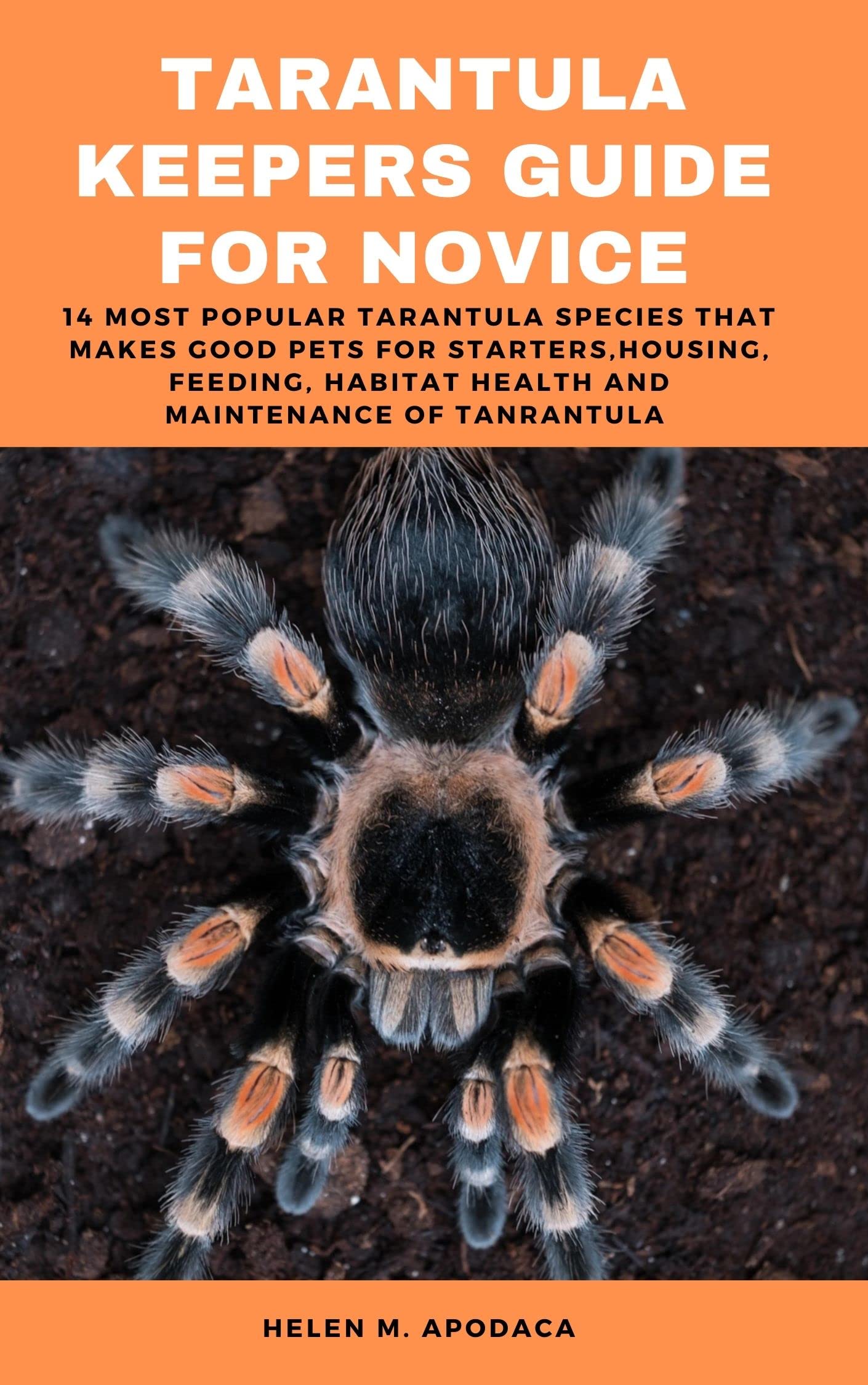 TARANTULA KEEPERS GUIDE FOR NOVICE: 14 most popular Tarantula species ...