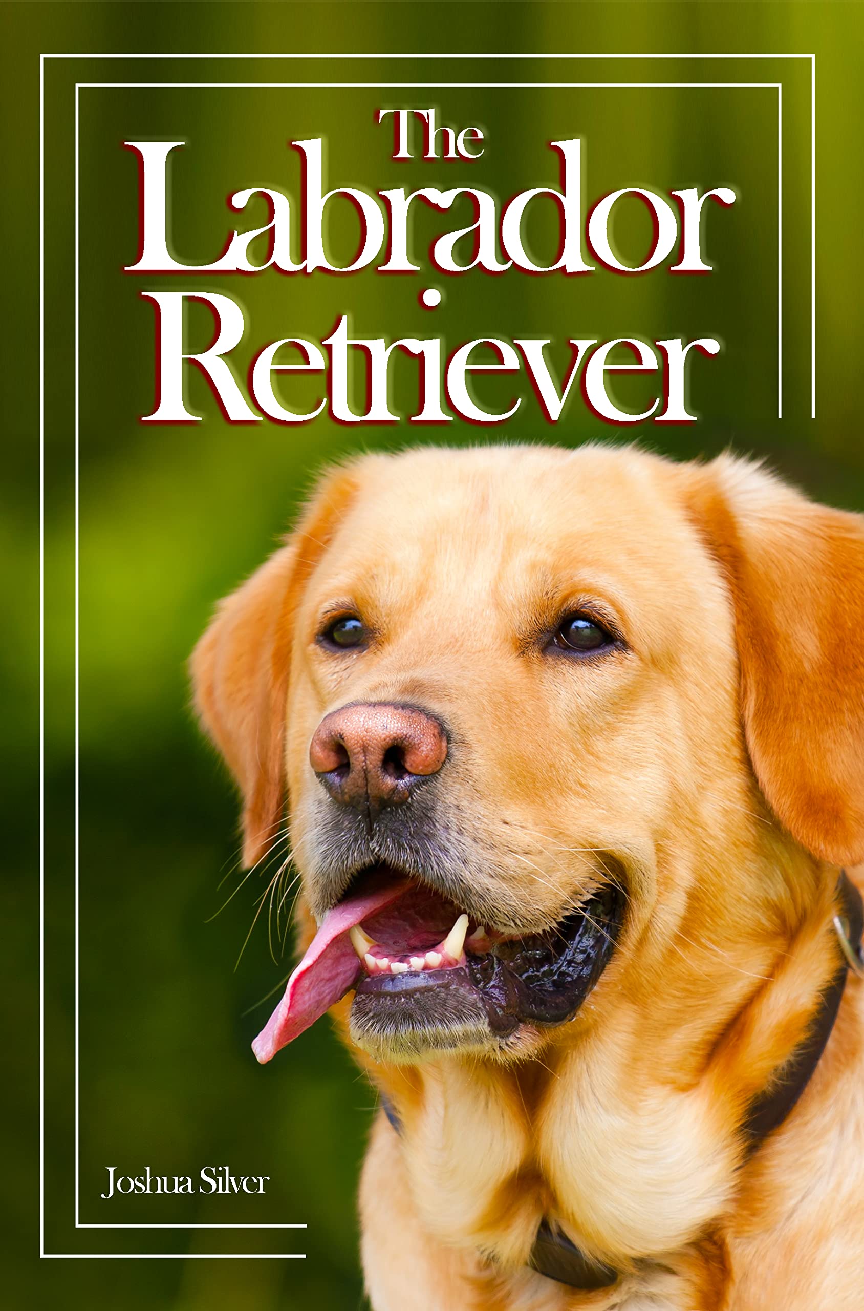 The Labrador Retriever : An Owners Dog Care Book about: Buying, Owning ...