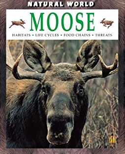 Moose: Habitats, Life Cycles, Food Chains, Threats by Michael Leach ...