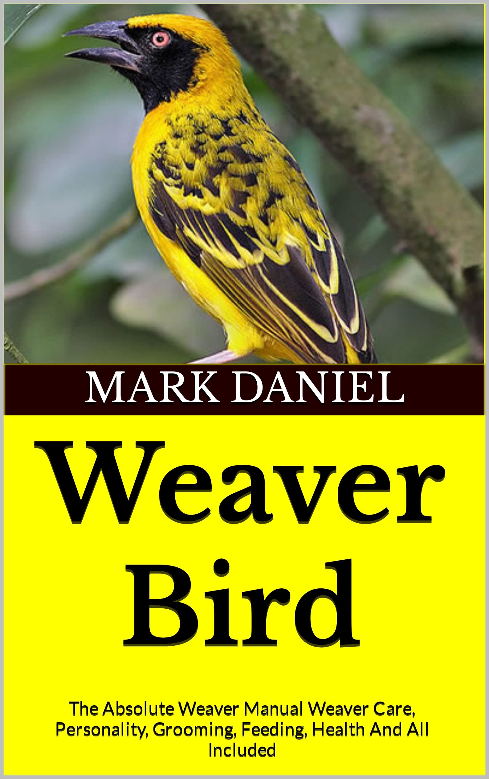 Weaver Bird : The Absolute Weaver Manual Weaver Care, Personality ...