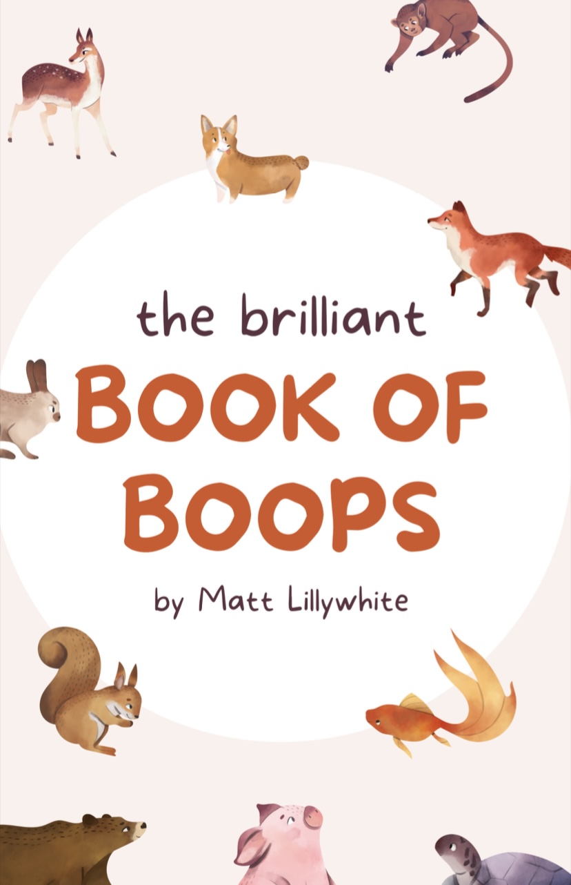 The Brilliant Book of Boops by Matt Lillywhite | Goodreads