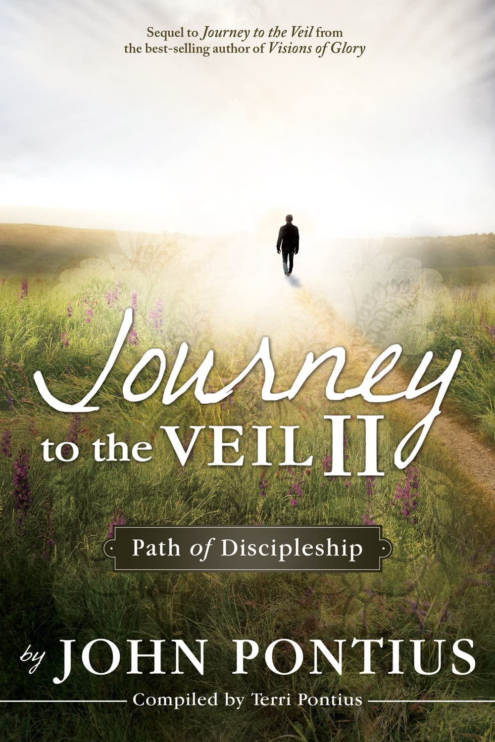 Journey to the Veil II by John Pontius | Goodreads