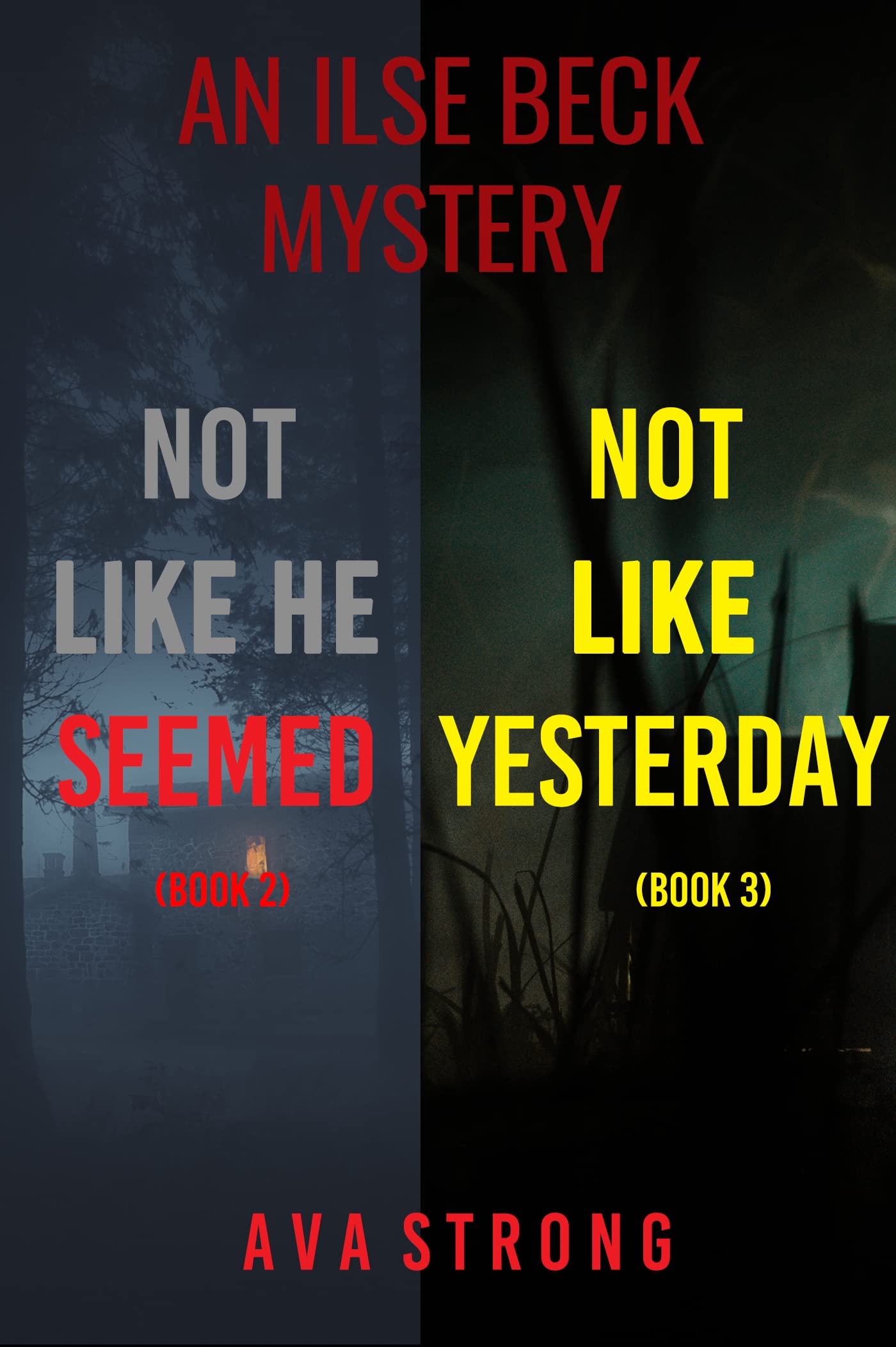 Ilse Beck FBI Suspense Thriller Bundle: Not Like He Seemed (#2) and Not Like Yesterday by Ava ...