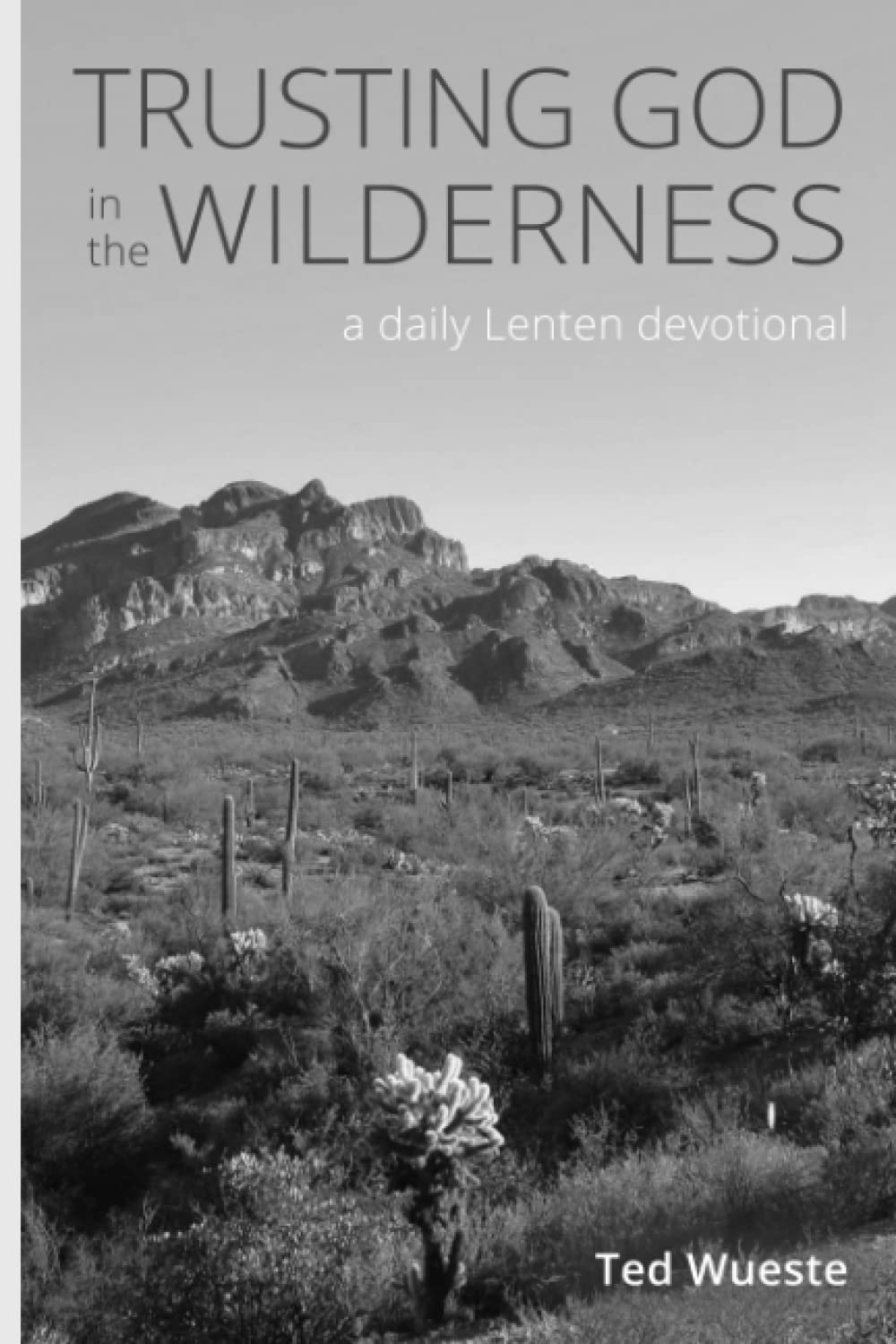 Trusting God in the Wilderness: Lenten Reflections: Sin, Suffering, and ...