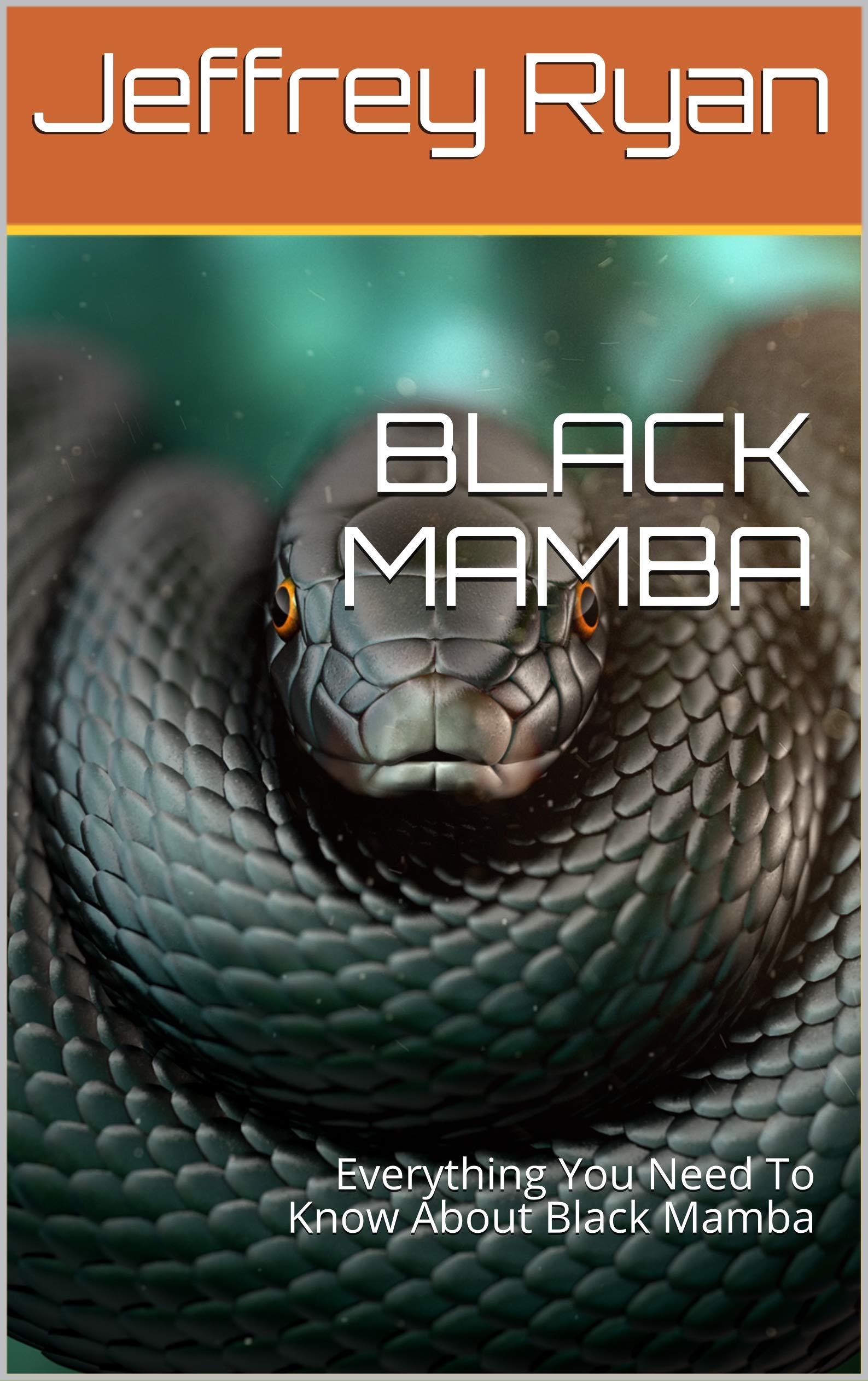 BLACK MAMBA: Everything You Need To Know About Black Mamba by Jeffrey ...