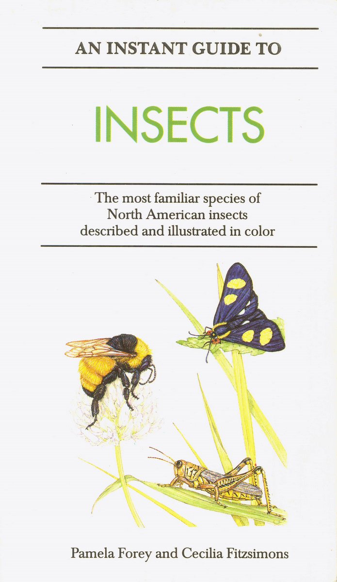 An Instant Guide to Insects: The Most Familiar Species of North ...