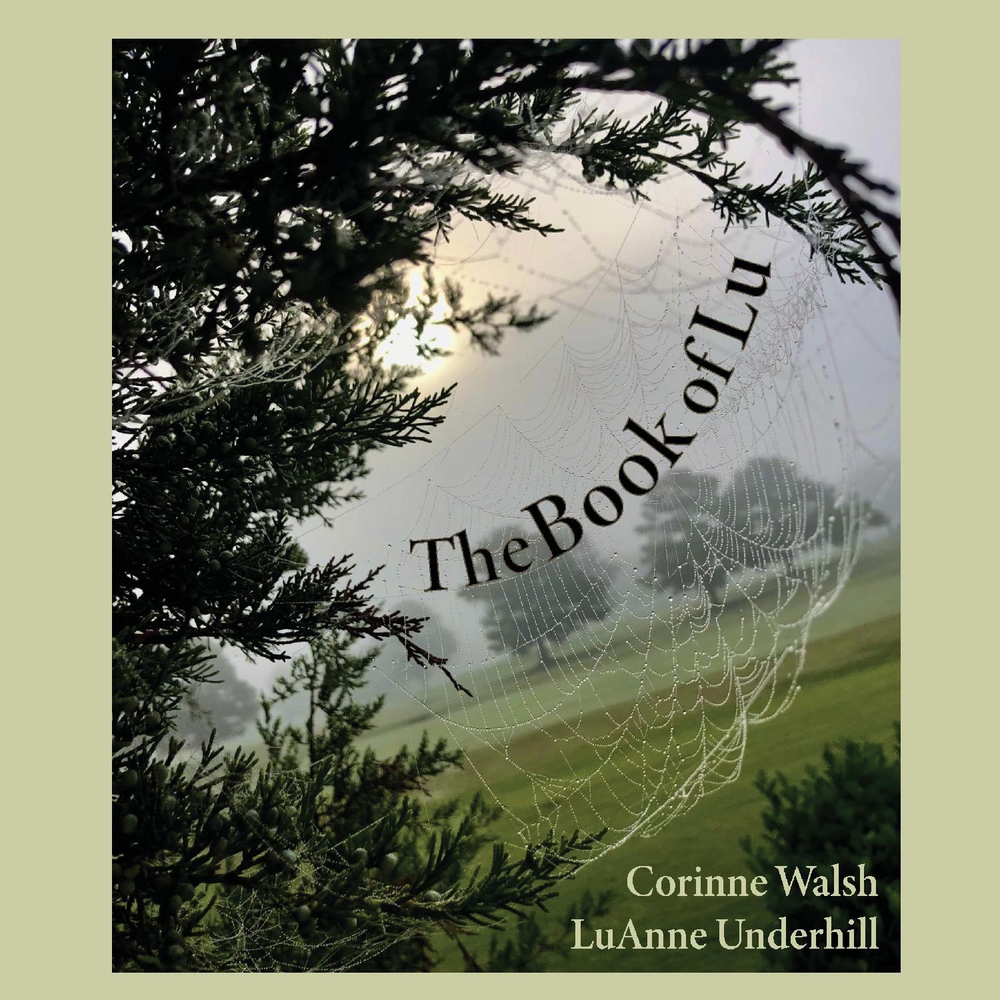 The Book of Lu: A Journey in Poems with Pictures by Corinne Walsh ...