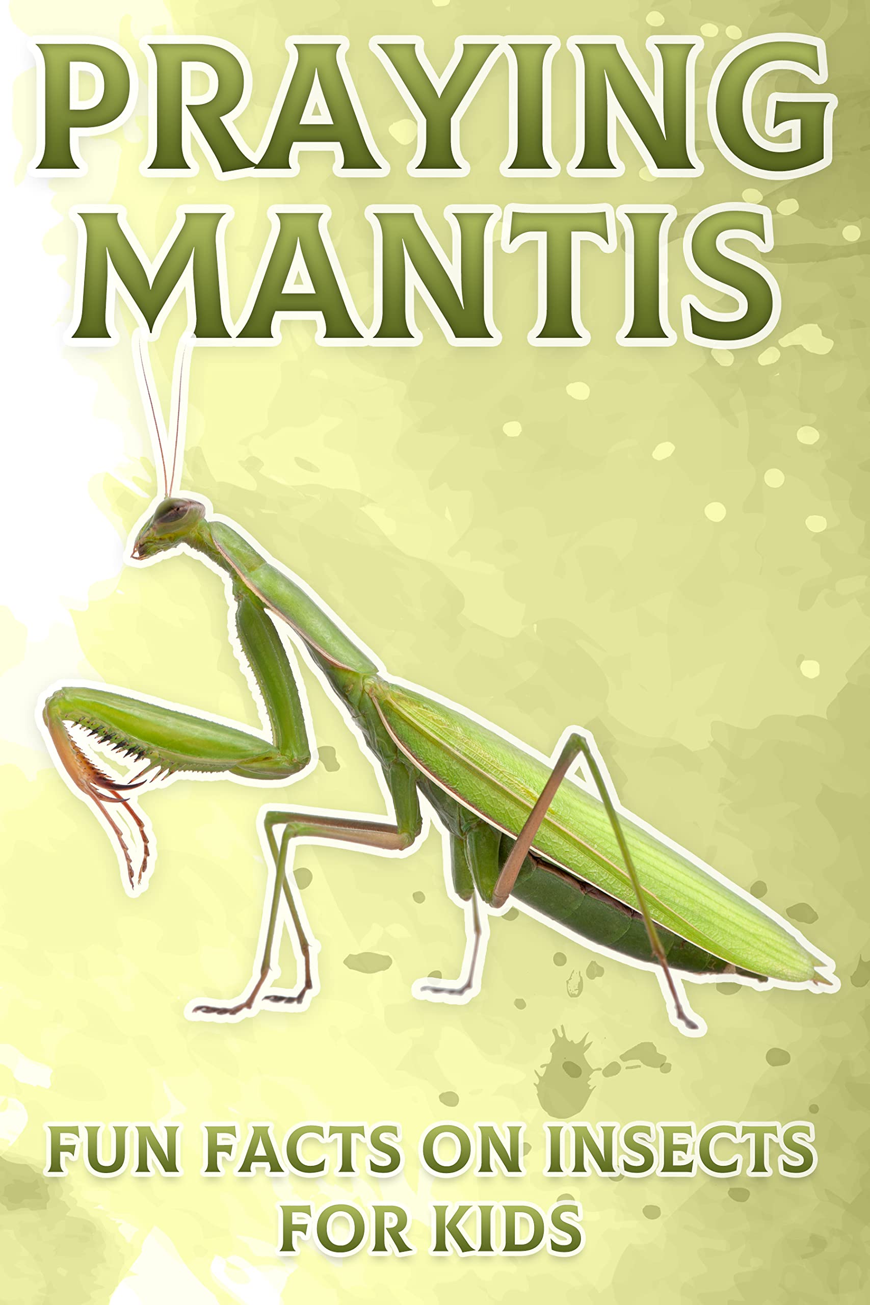 Praying Mantis: Fun Facts on Insects for Kids #2 by Michelle Hawkins ...
