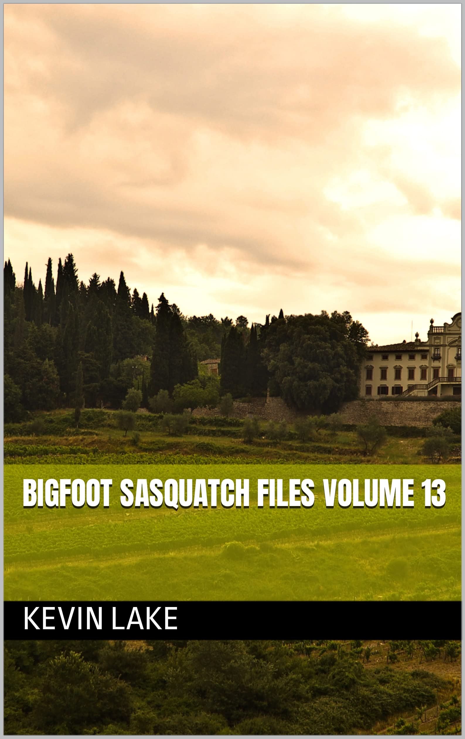 Bigfoot Sasquatch Files Volume 13 by Kevin Lake | Goodreads