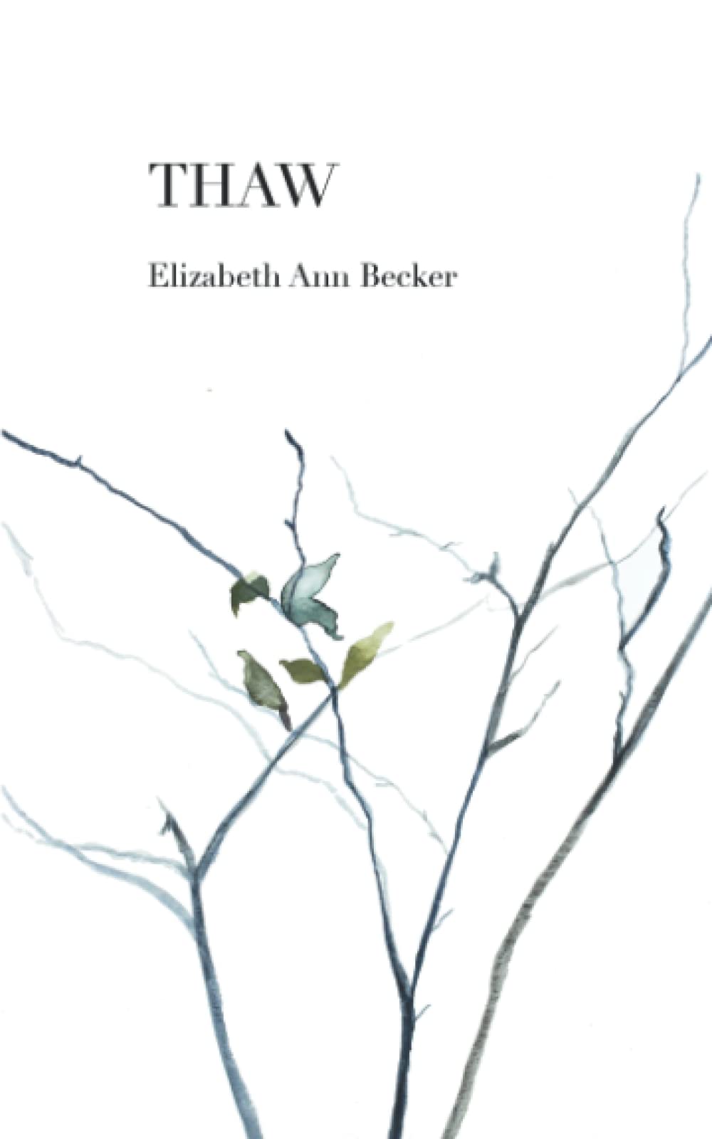 Thaw by Elizabeth Ann Becker | Goodreads