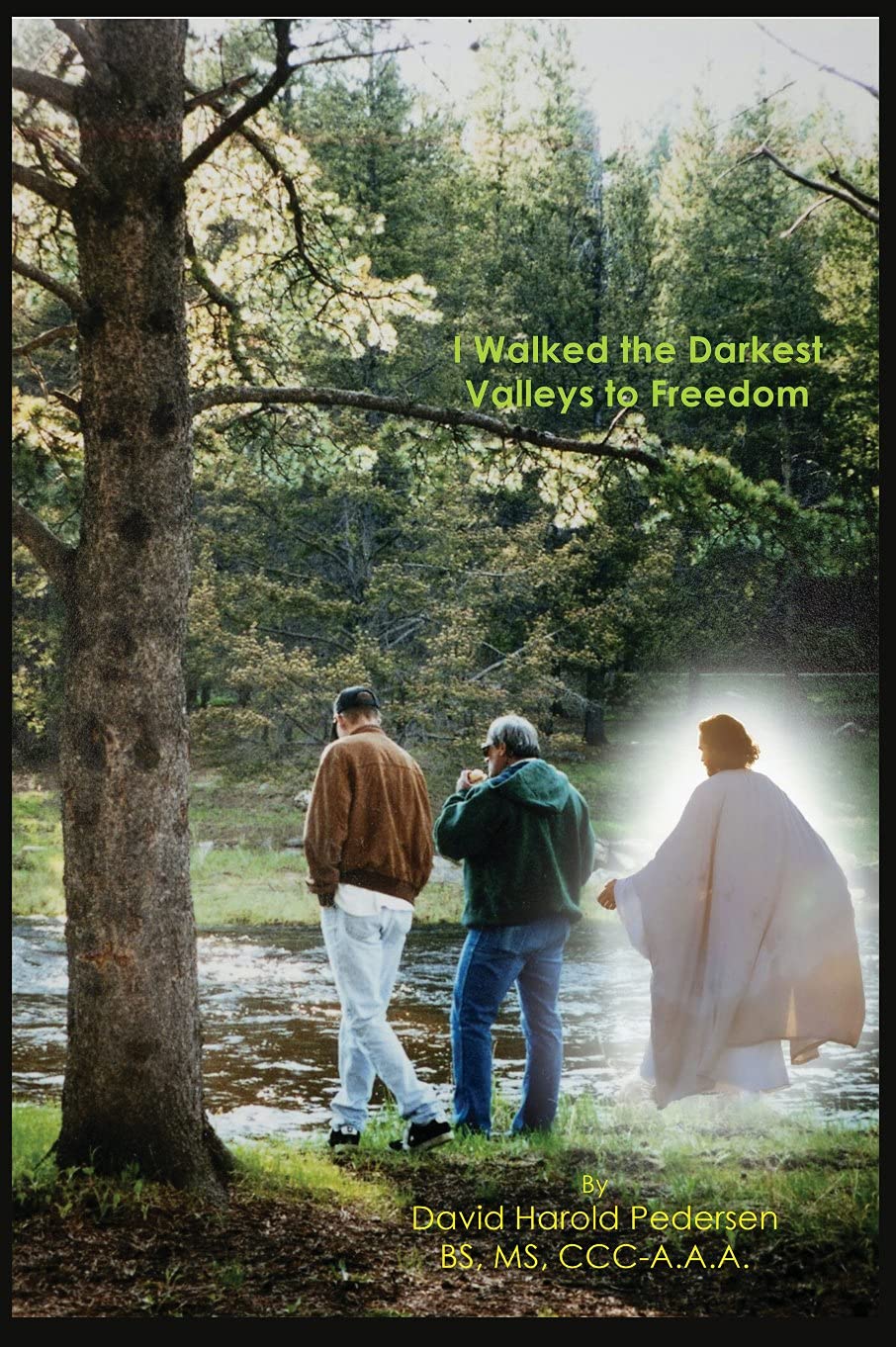 I Walked the Darkest Valleys to Freedom by David Harold Pedersen BS MS ...