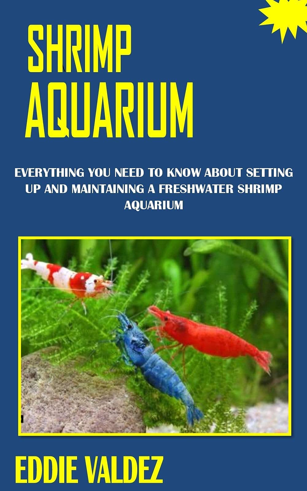 SHRIMP AQUARIUM: Everything You Need To Know About Setting Up And ...