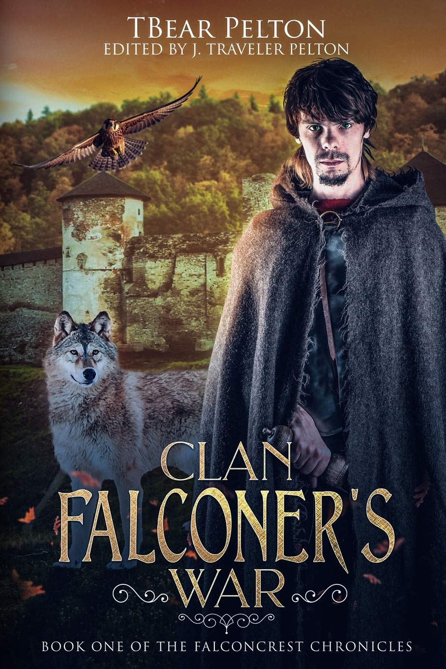 Clan Falconer's War: Book One of the Falconcrest Chronicles by T. Bear ...