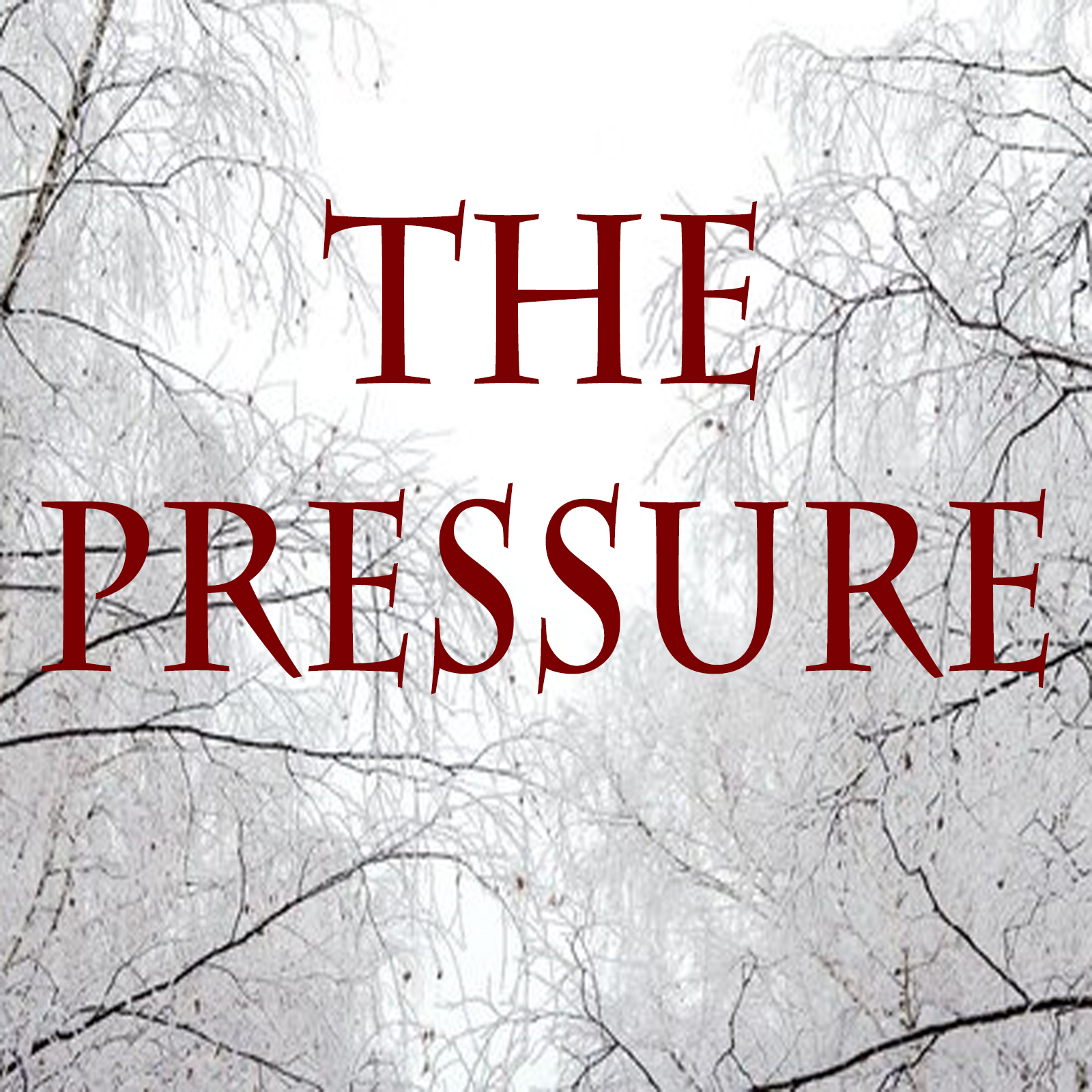 The Pressure by Bryan W. Dull | Goodreads