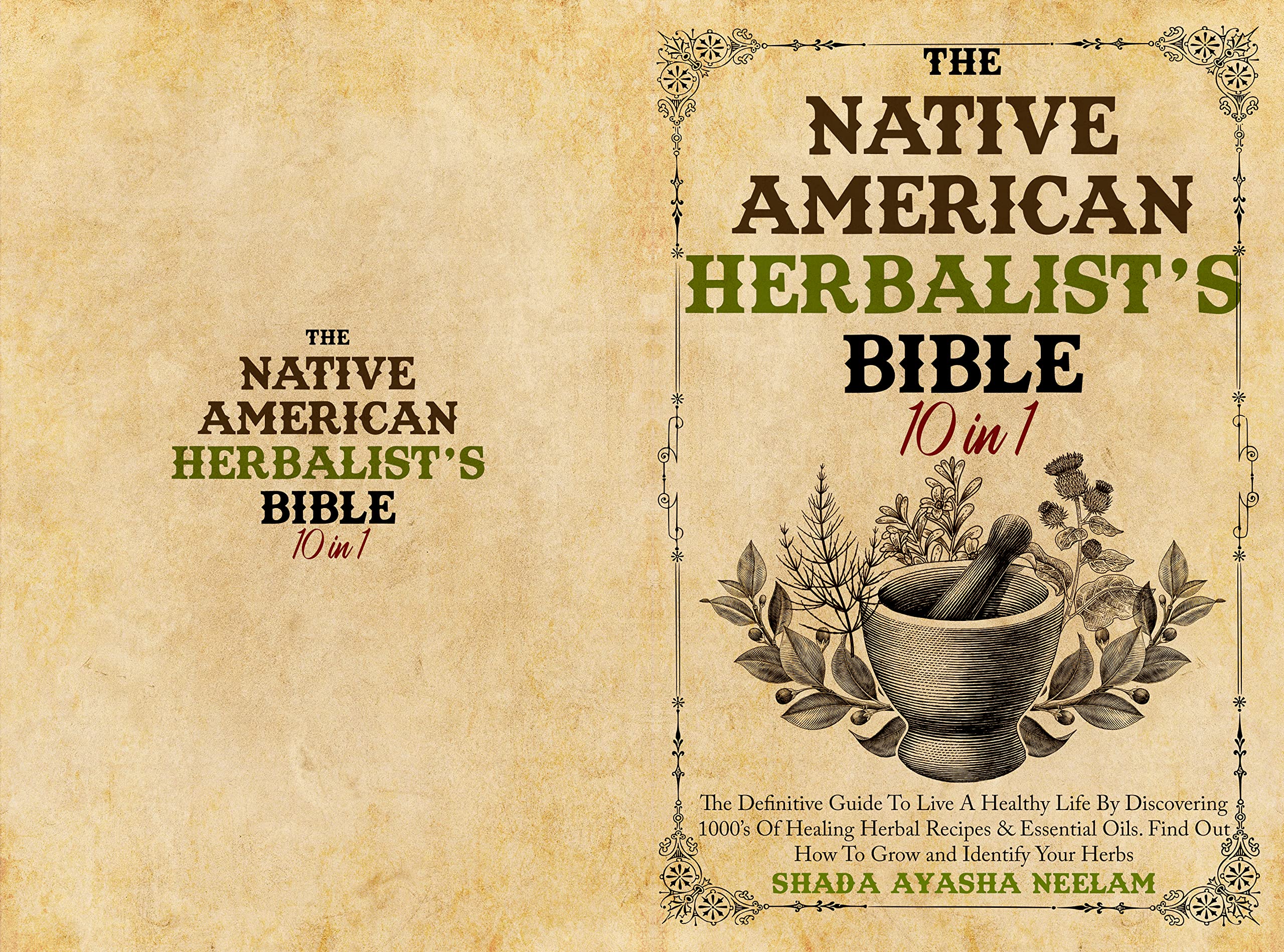 The Native American Hebalist’s Bible 10 in 1: The Definitive Guide To ...
