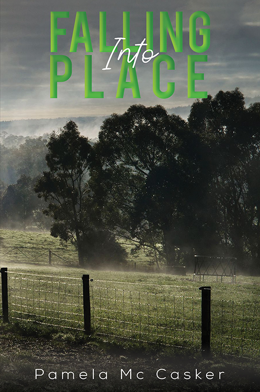 Falling into Place by Pamela Mc Casker | Goodreads