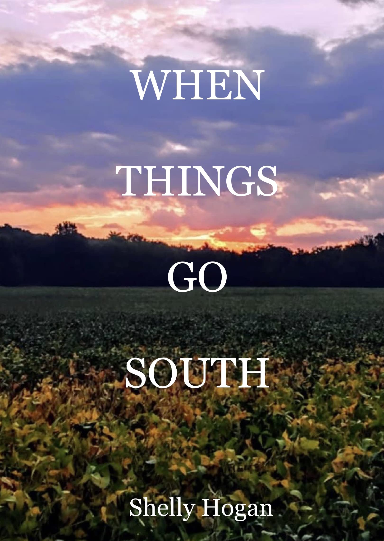 When Things Go South by Shelly Hogan | Goodreads