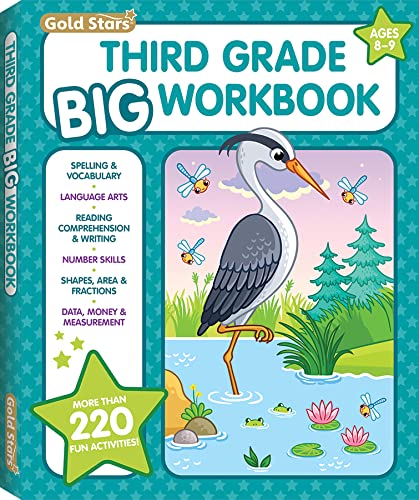 3rd Grade BIG Workbook All Subjects for Kids 8 - 9 includes 220 ...