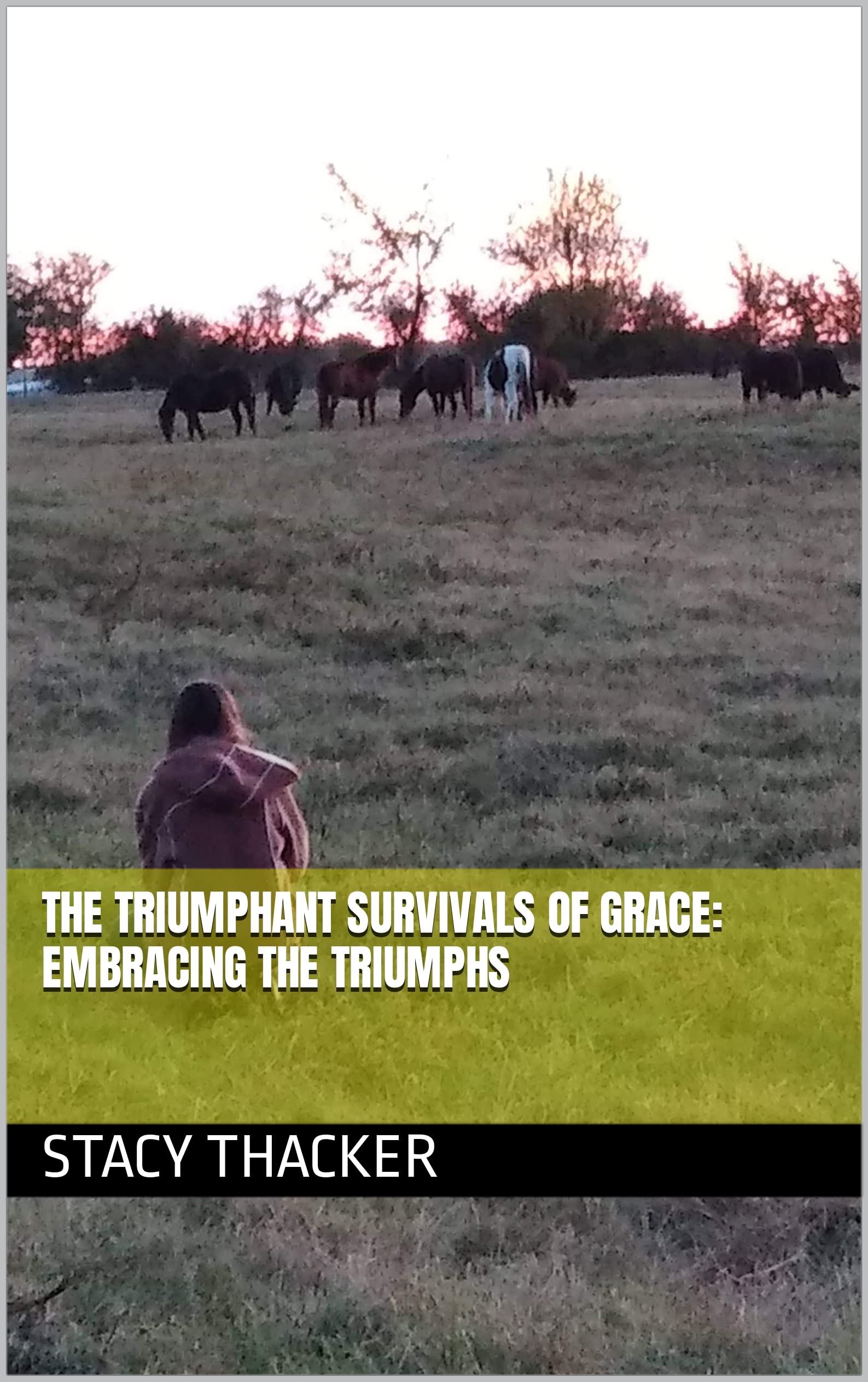 The Triumphant Survivals of Grace: Embracing the Triumphs by Stacy ...