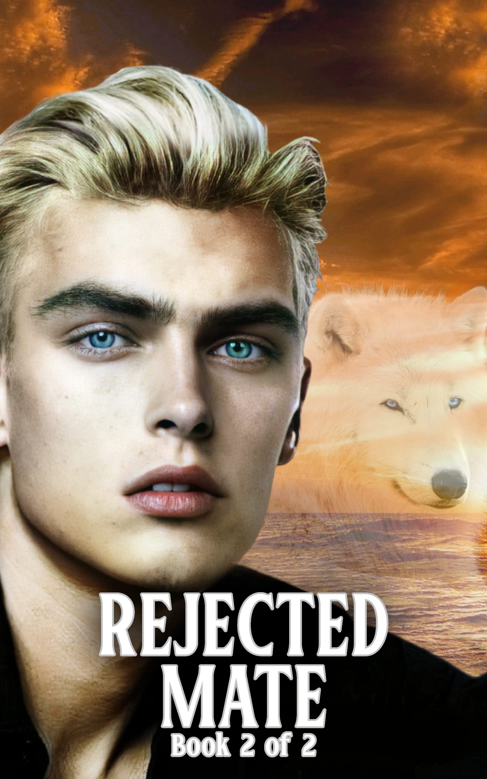 Rejected mate: Book 2 of 2 by Lara Rogaard | Goodreads