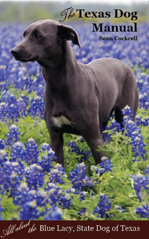 The Texas Dog Manual All About the Blue Lacy, State Dog of Texas by ...