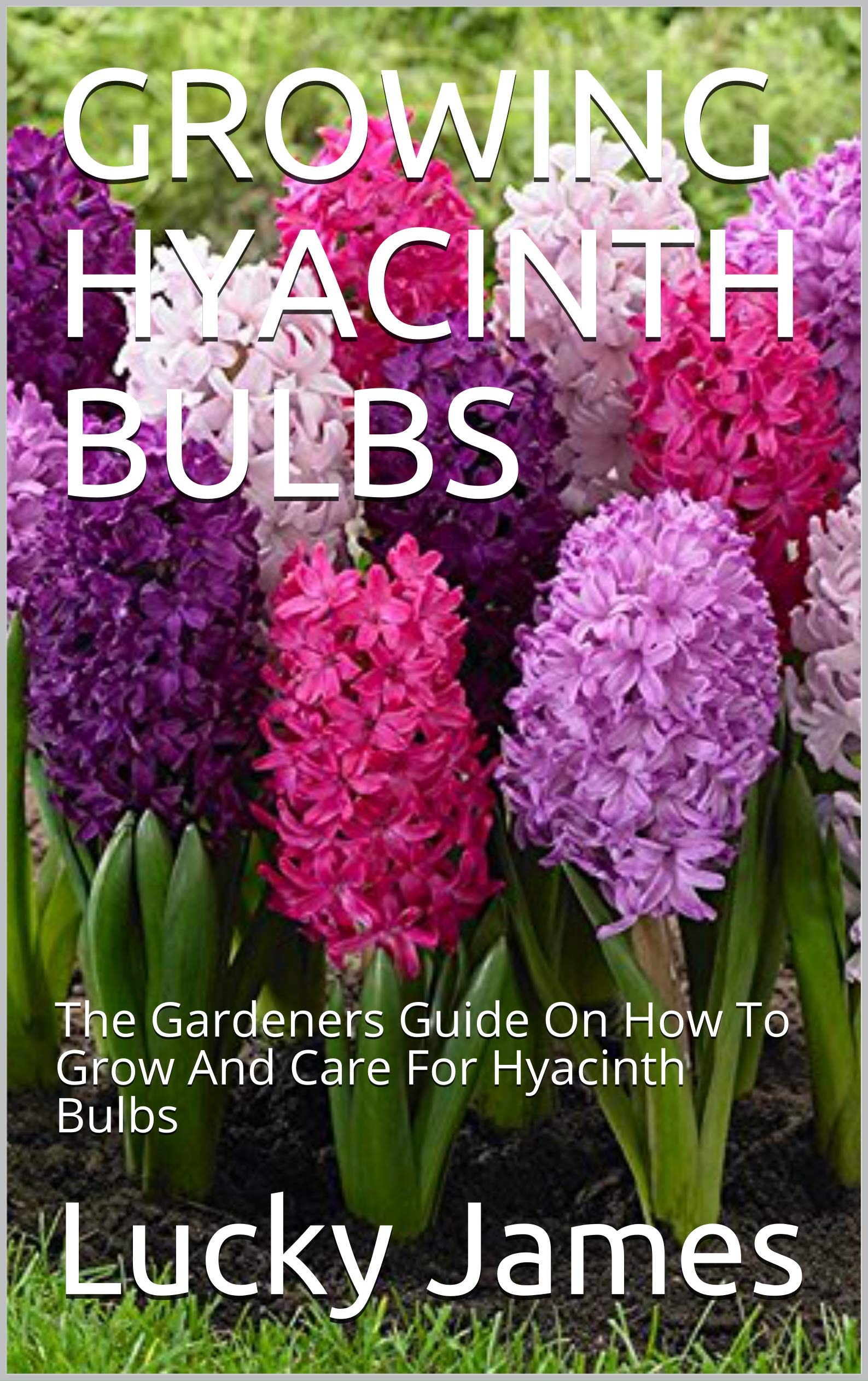 GROWING HYACINTH BULBS: The Gardeners Guide On How To Grow And Care For Hyacinth Bulbs by Lucky ...