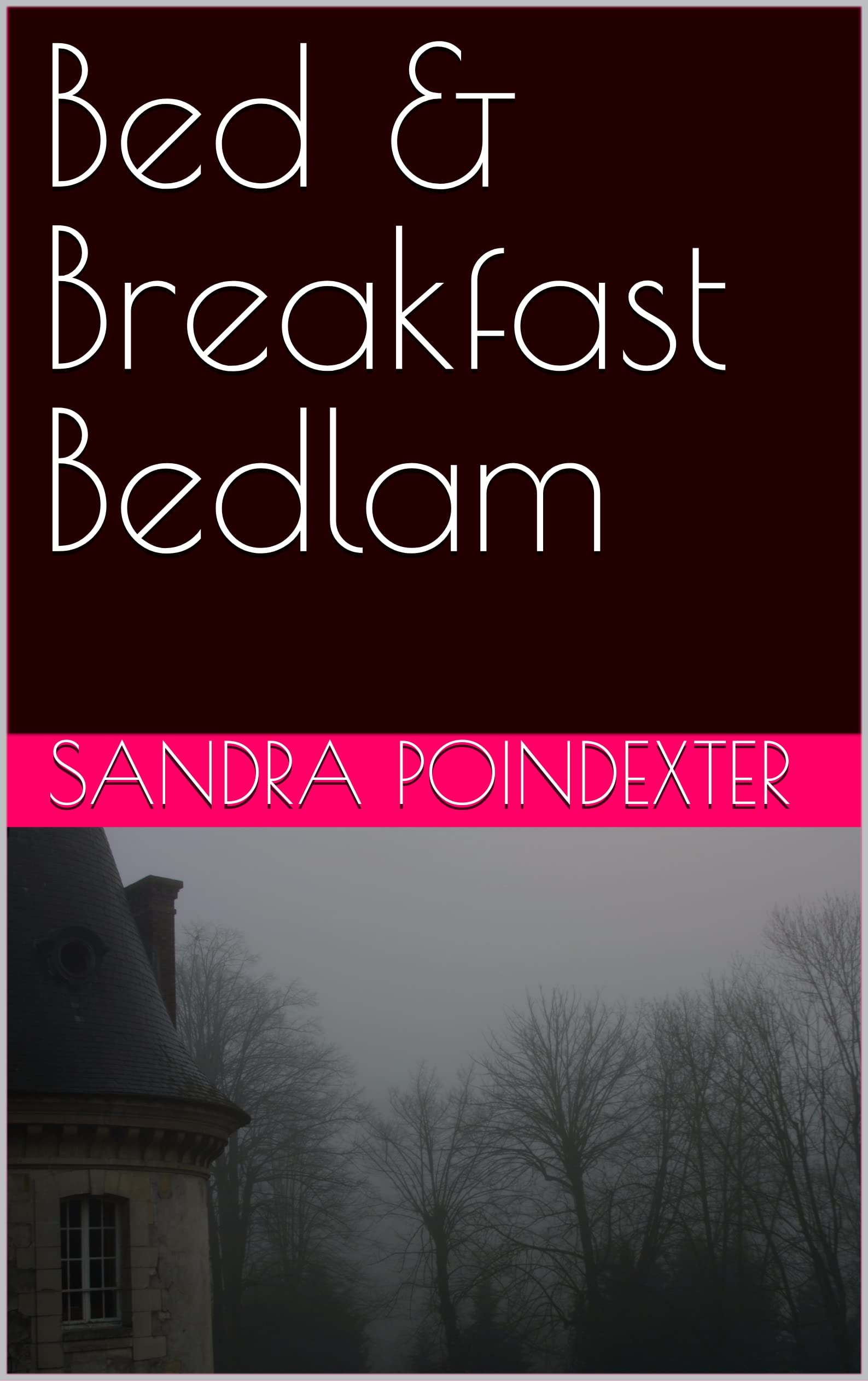 Bed & Breakfast Bedlam by Sandra Poindexter | Goodreads