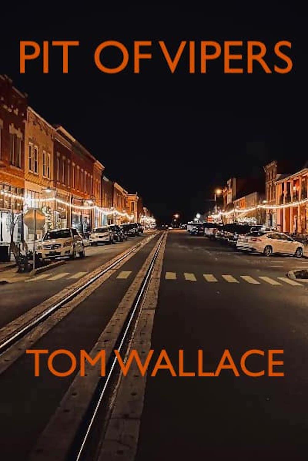 A Pit of Vipers (A Jack Dantzler Mystery) by Tom Wallace | Goodreads