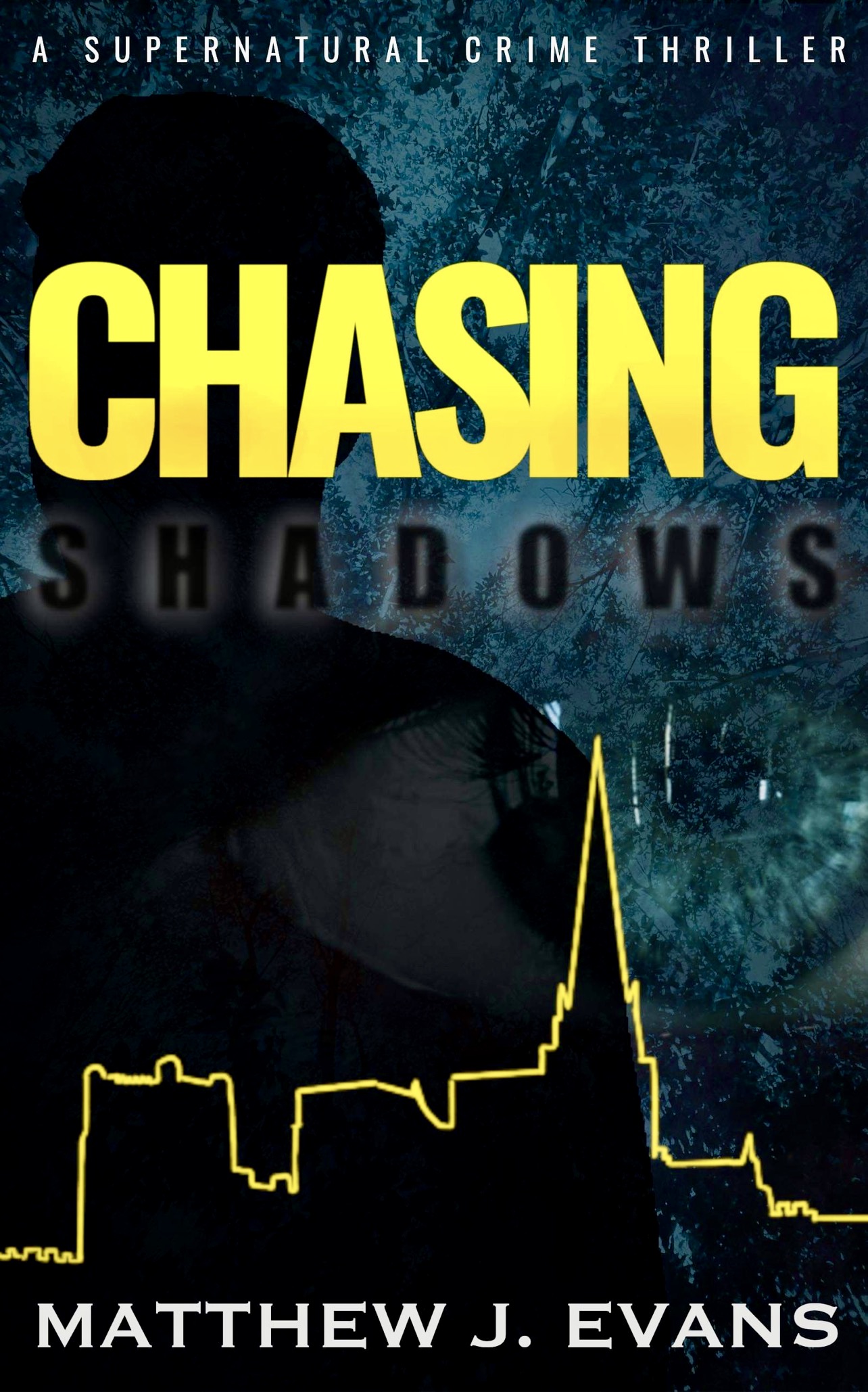 Chasing Shadows: A DI Angelis Crime Thriller by Matthew J. Evans ...