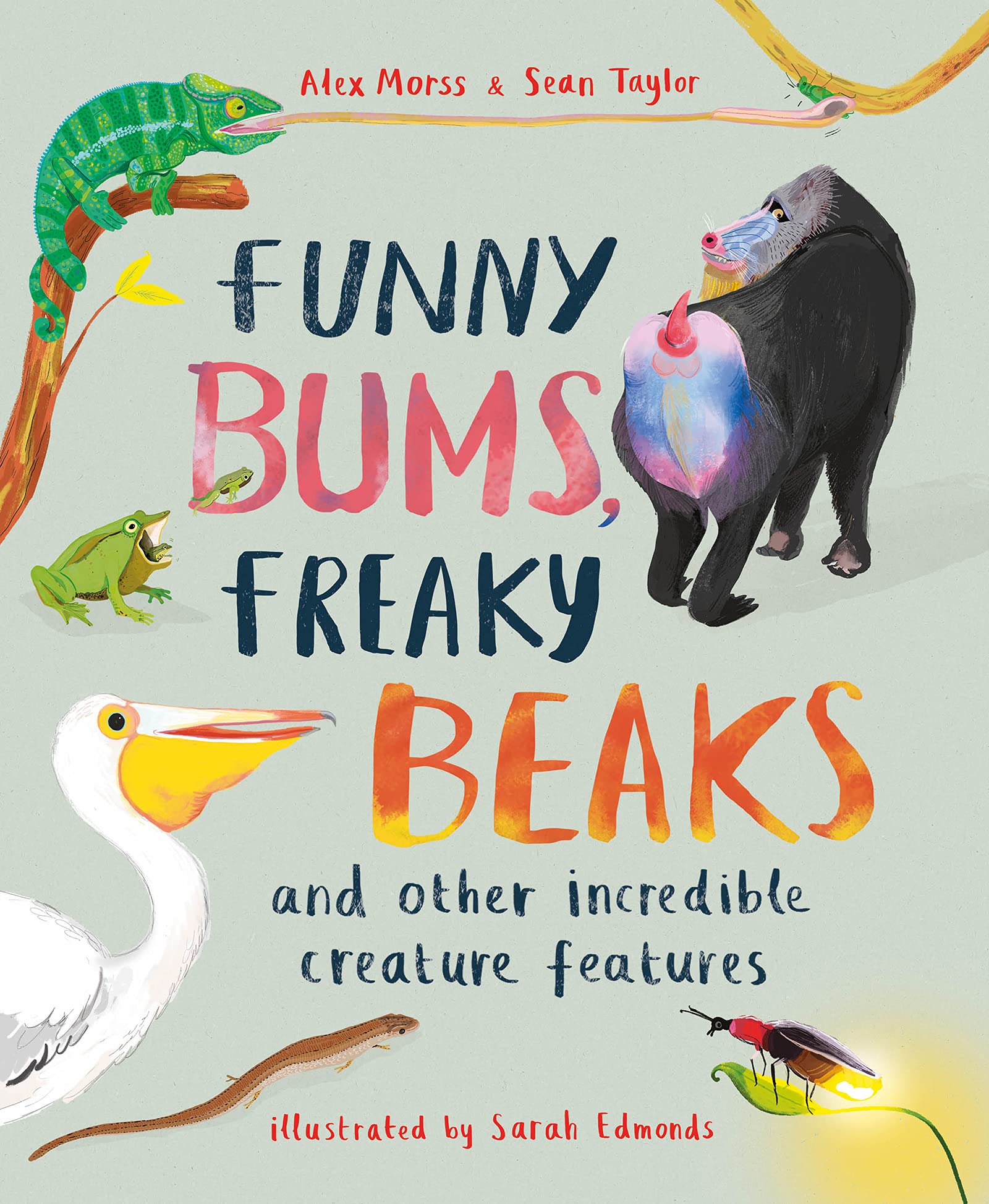 Funny Bums, Freaky Beaks: and Other Incredible Creature Features by ...
