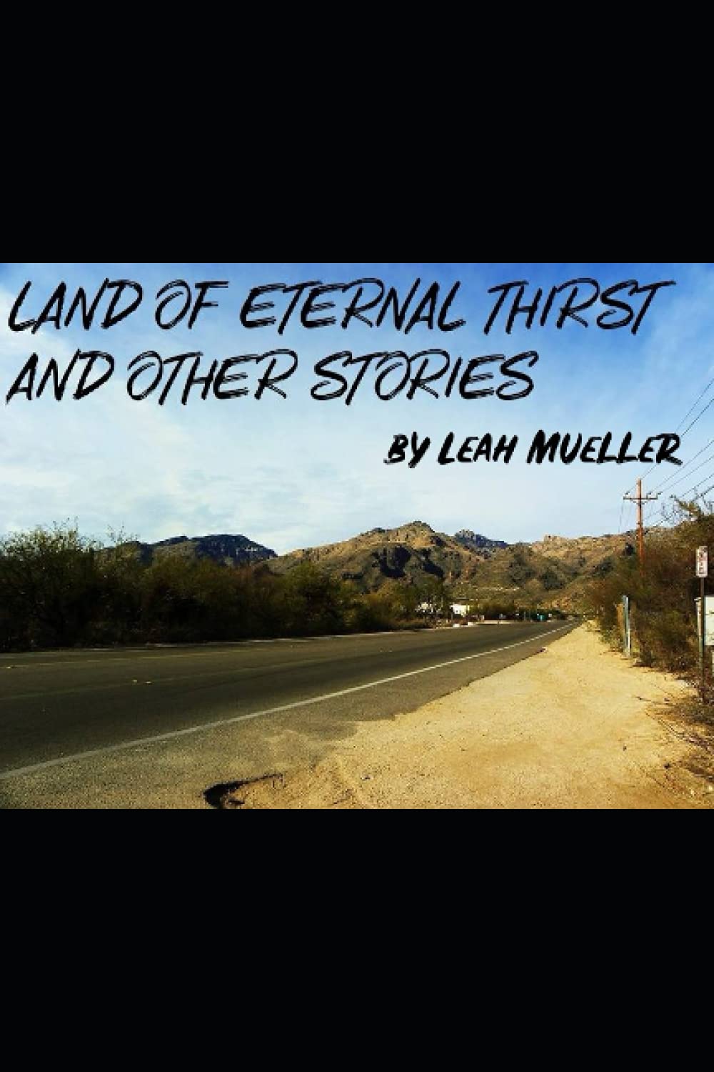 Land of Eternal Thirst and Other Stories by Leah Mueller | Goodreads