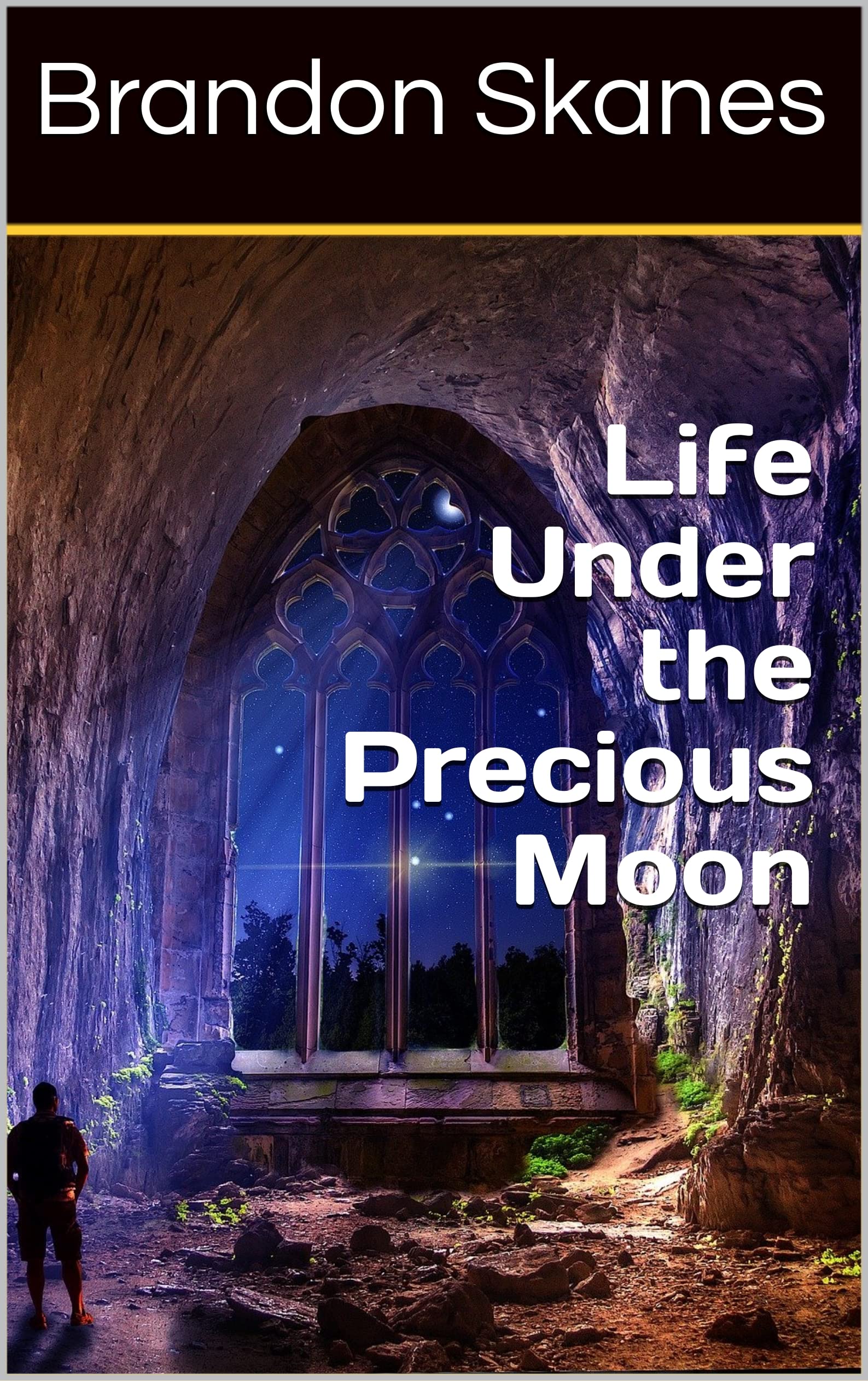 Life Under the Precious Moon by Brandon R.M. Skanes | Goodreads