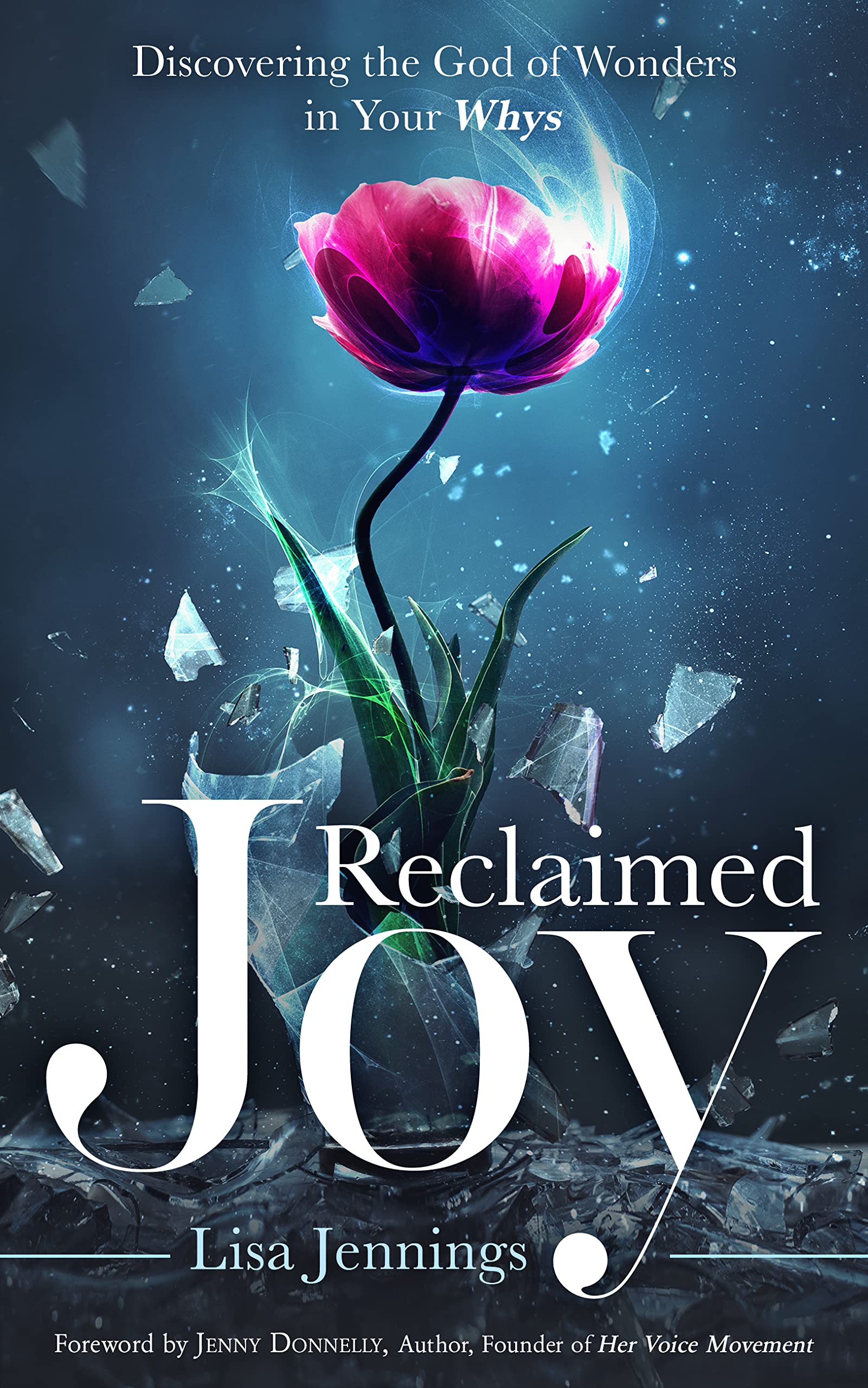 Reclaimed Joy: Discovering the God of Wonders in Your Whys by Lisa ...