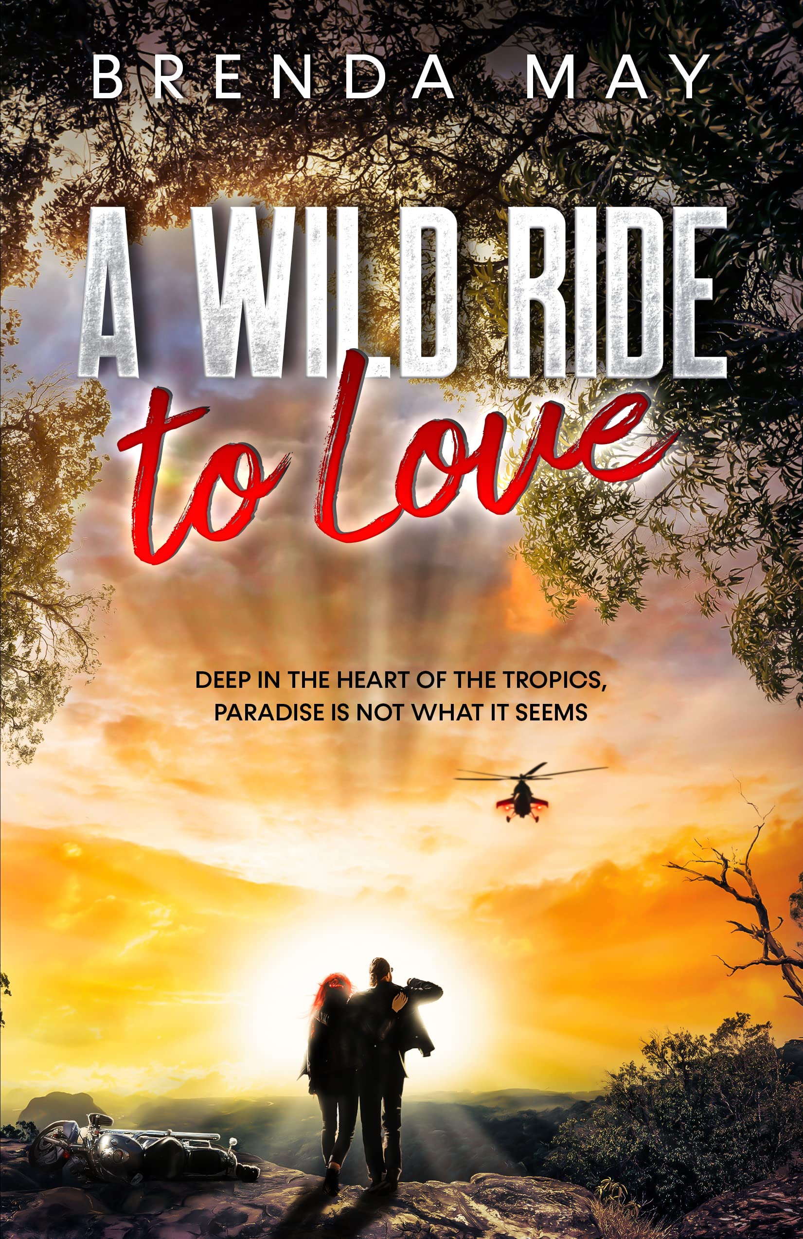 A Wild Ride to Love: Romantic Suspense by Brenda May | Goodreads
