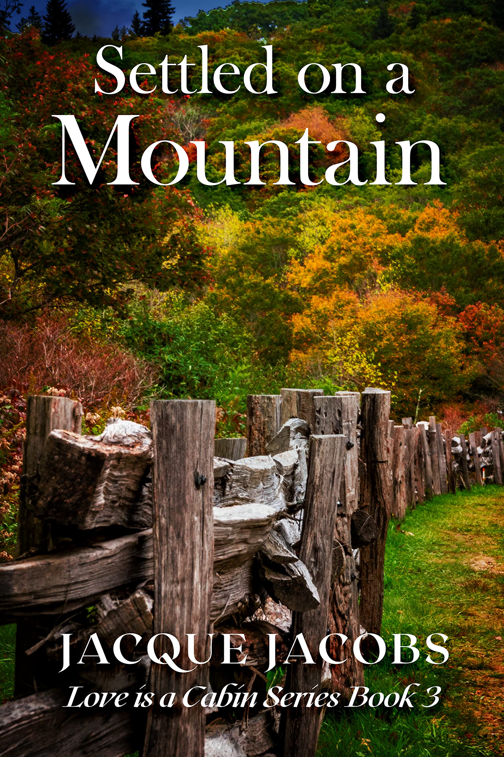 Settled on a Mountain: Love is a Cabin Series Book 3 by Jacque Jacobs | Goodreads