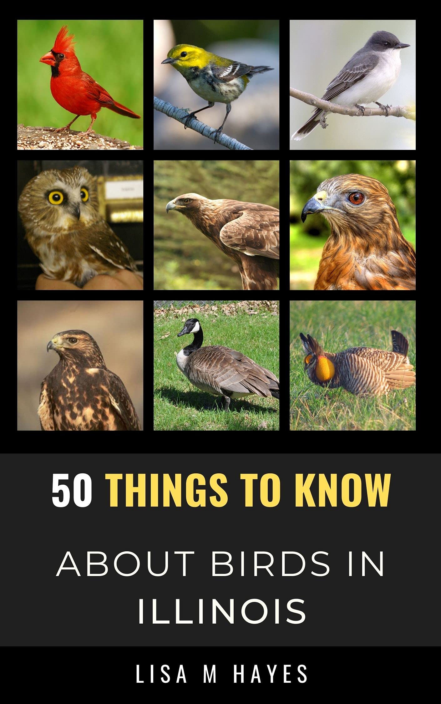 50 Things to Know About Birds in Illinois : Birding in the Prairie ...