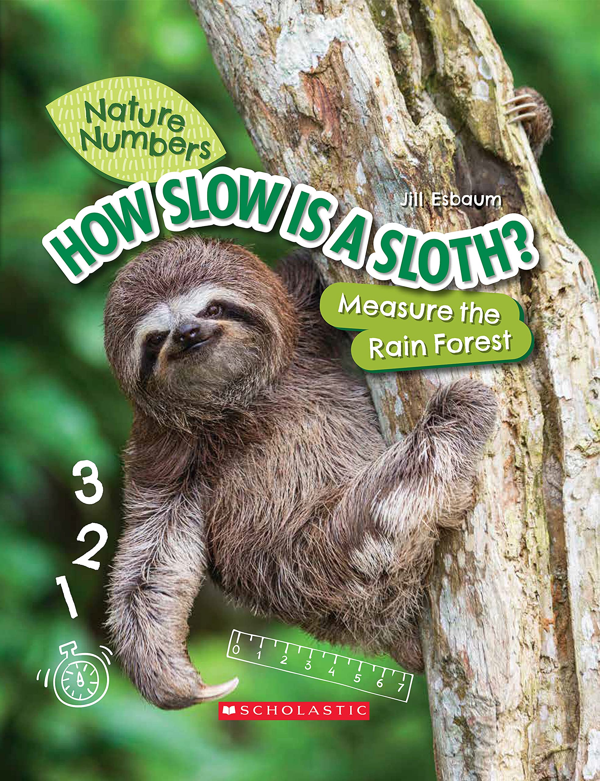 How Slow Is a Sloth?: Measure the Rainforest by Jill Esbaum | Goodreads