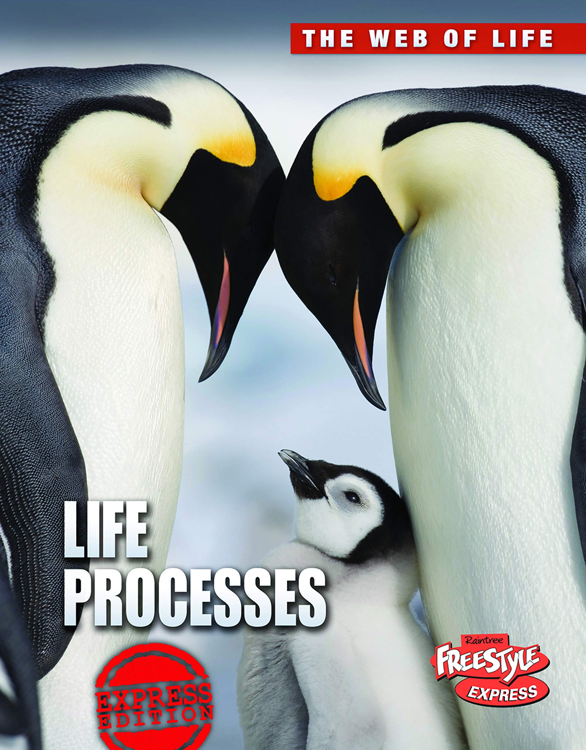 Life Processes (The Web of Life) by Anna Claybourne | Goodreads