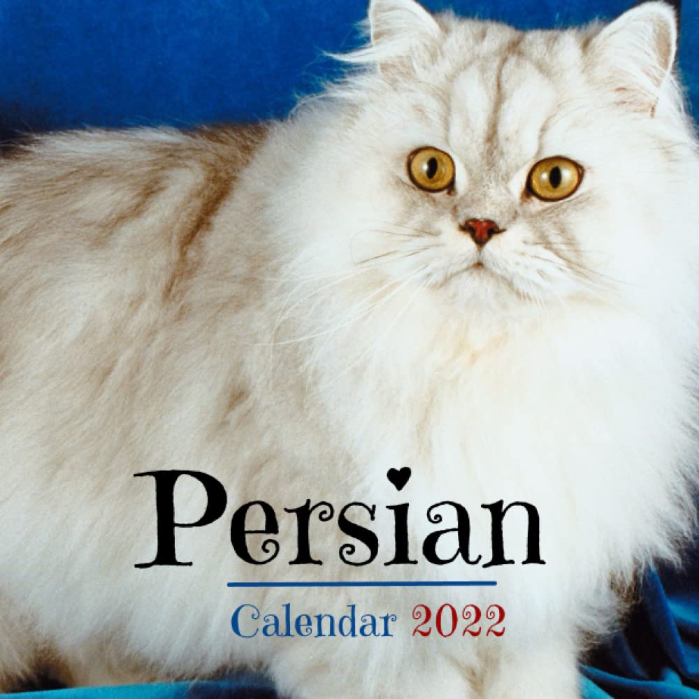 Persian Calendar 2022 12 Month Small Square Calendar Cute Persian Persian Calendar 2022 12 Month Small Square Calendar Cute Persian