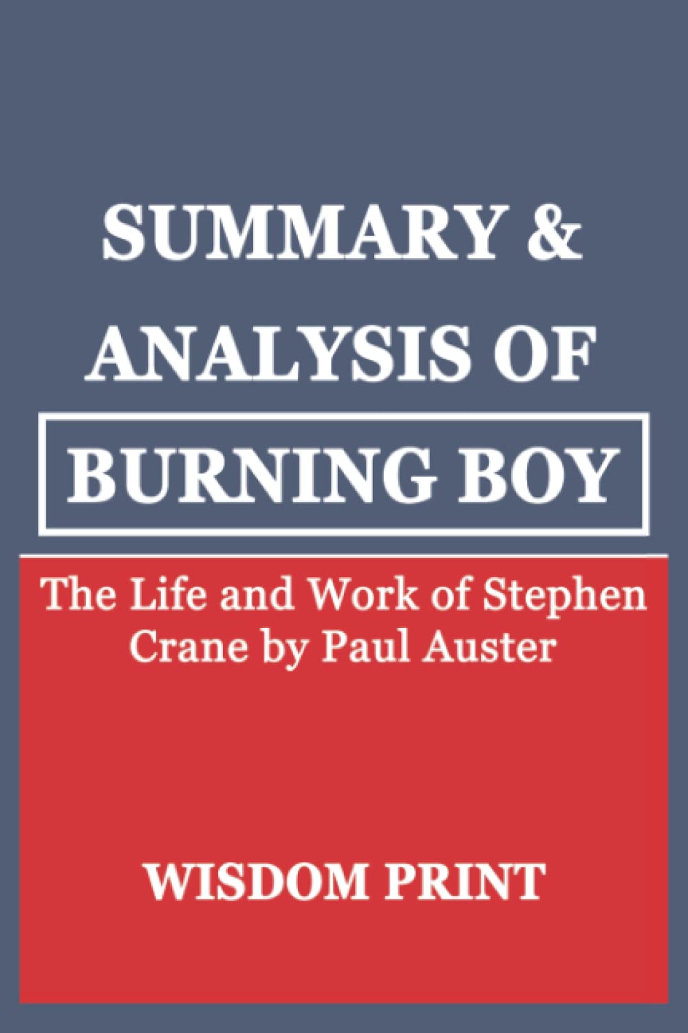 SUMMARY AND DETAILED ANALYSIS OF BURNING BOY: The Life and Work of ...