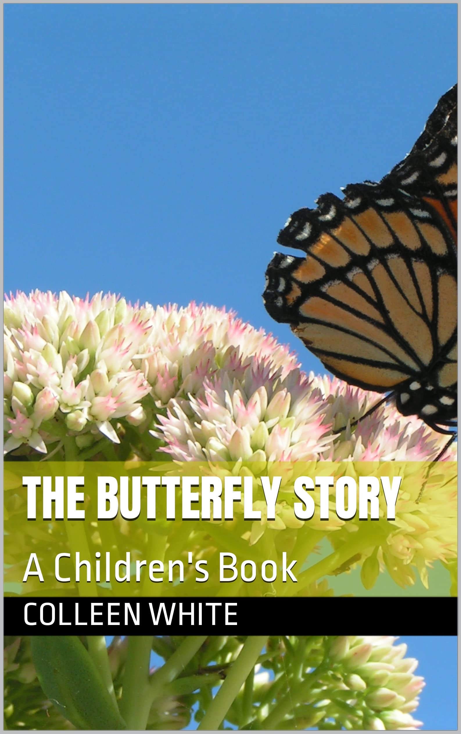 The Butterfly Story: A Children's Book by Colleen White | Goodreads